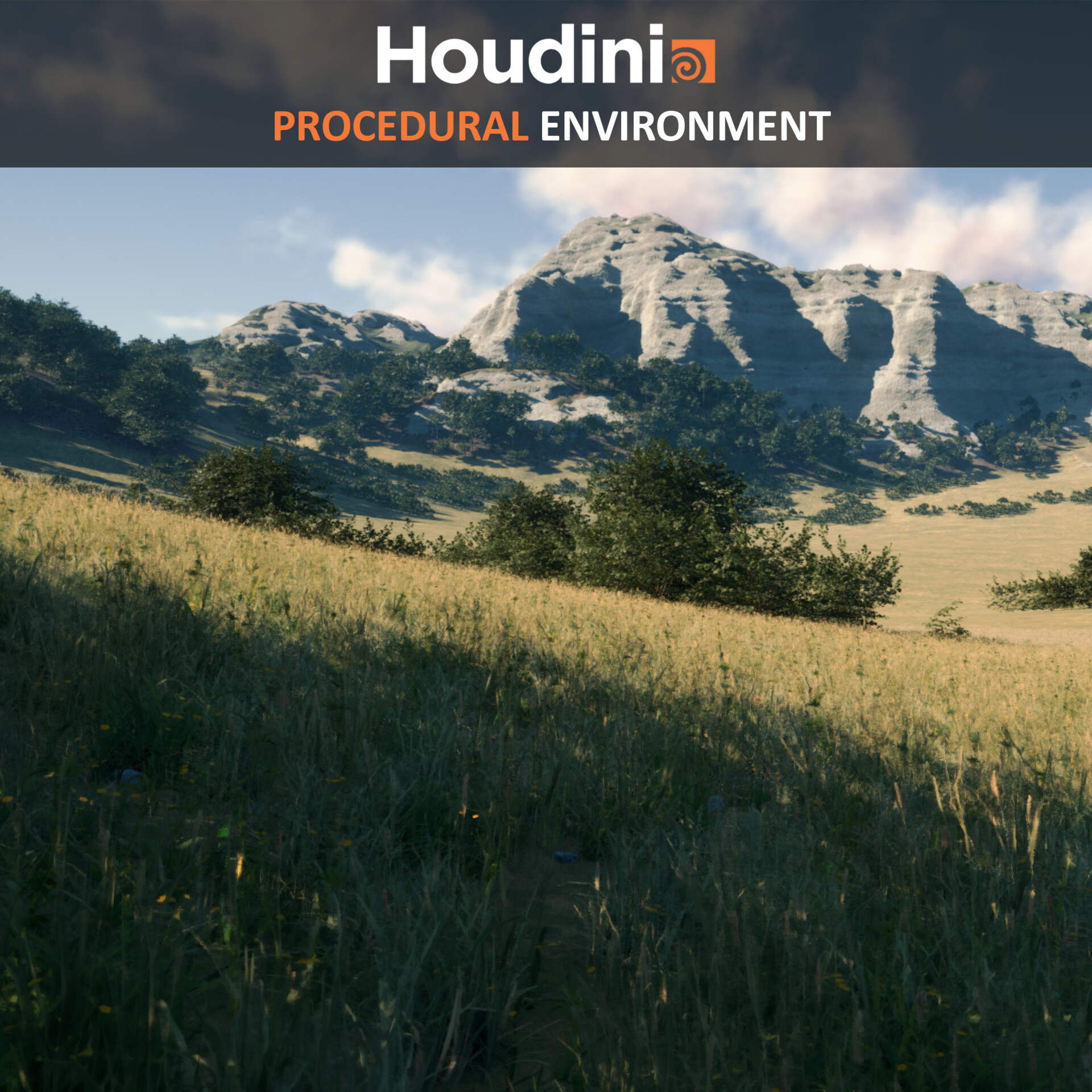 ArtStation - Monti Sibillini Natural Park - Procedural Environment