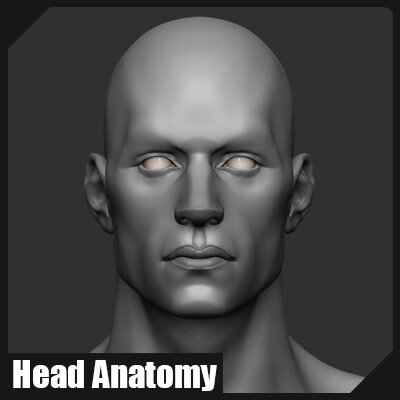 ArtStation - Head study