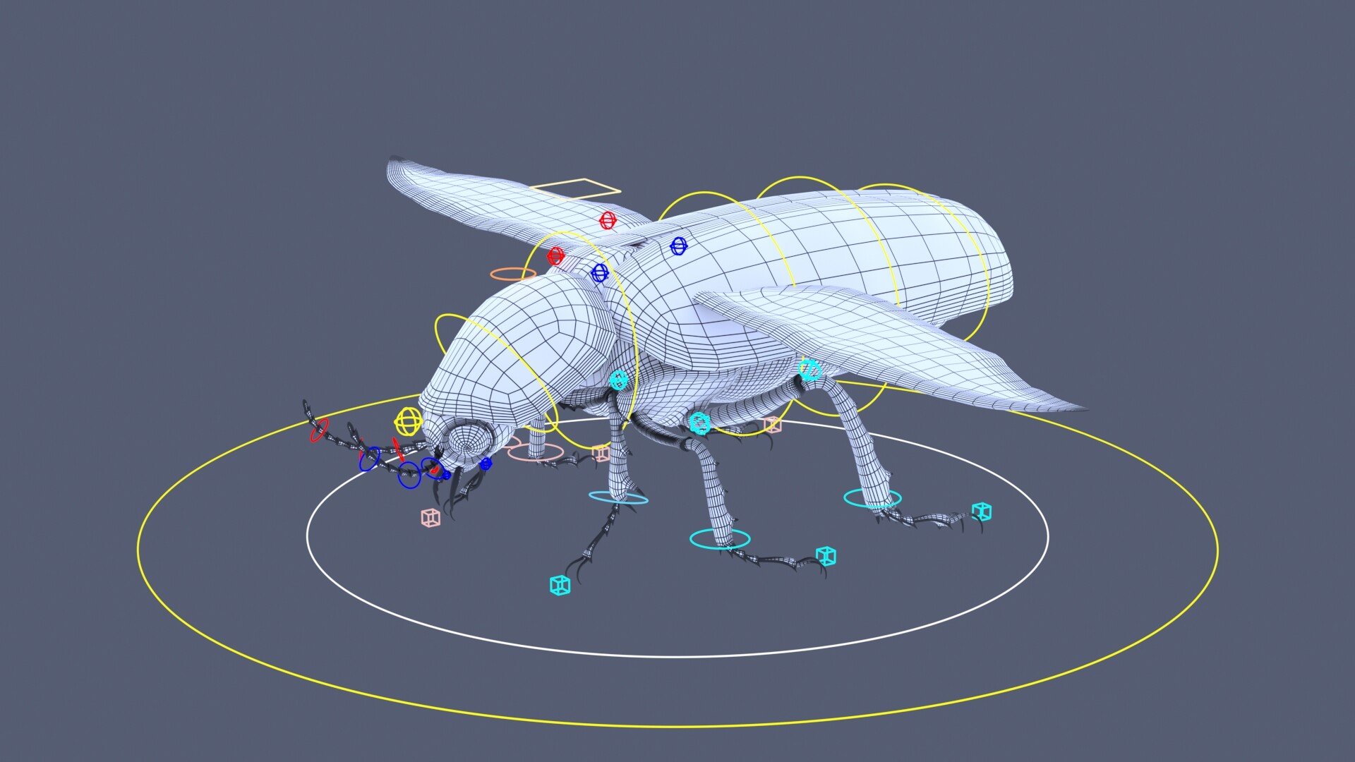 ArtStation - Rig firefly