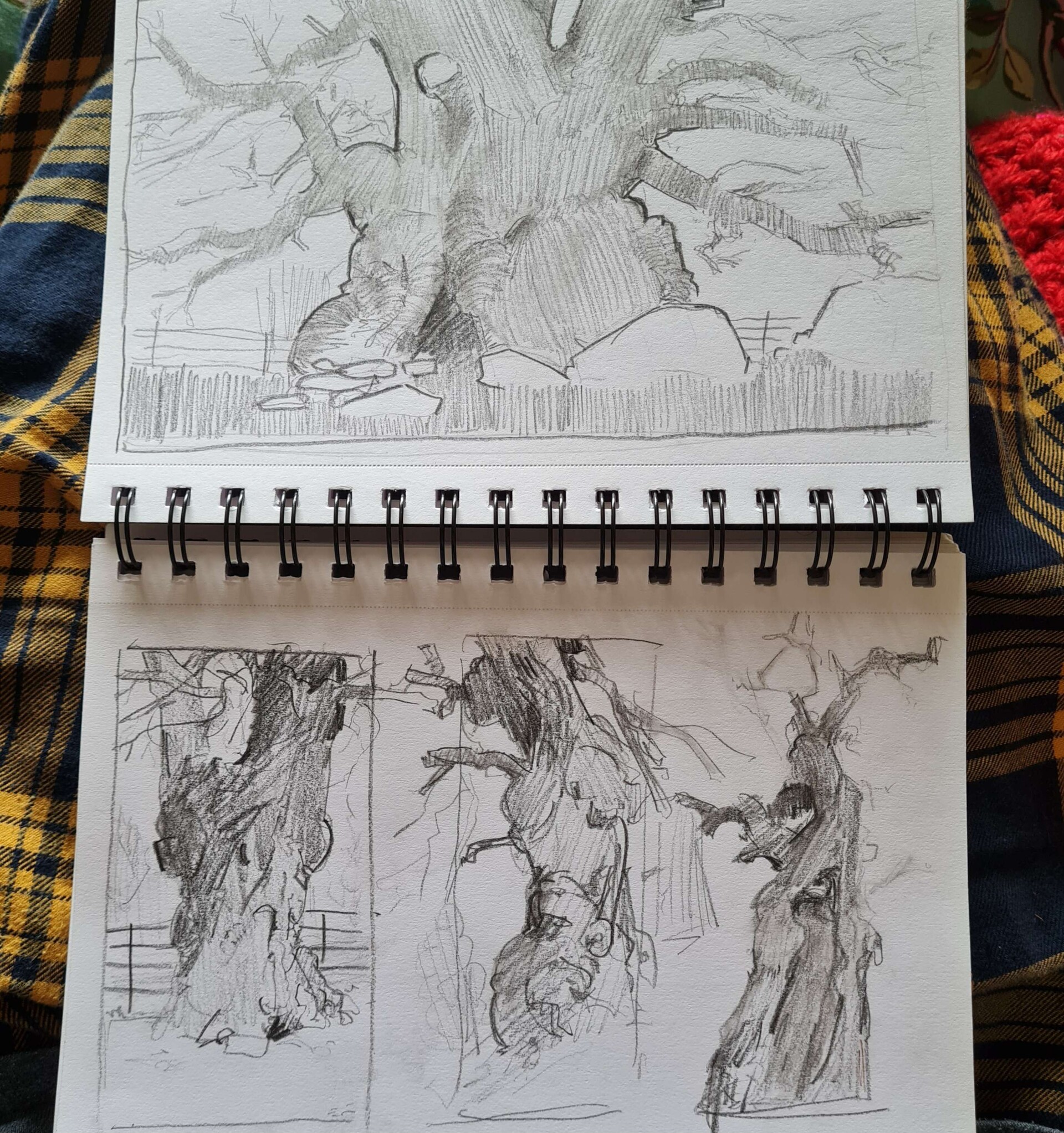 ArtStation - Sketches