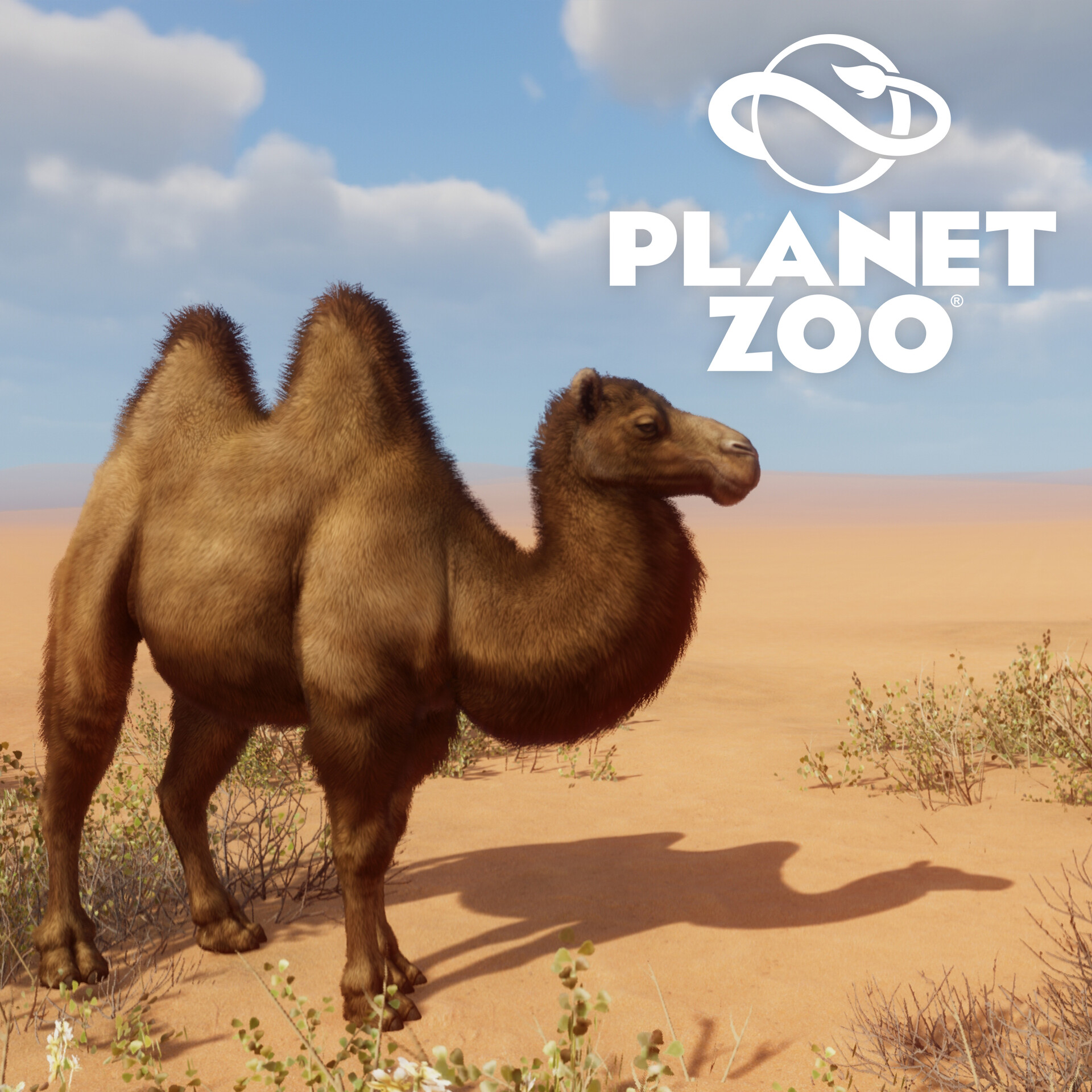 ArtStation - Bactrian Camel
