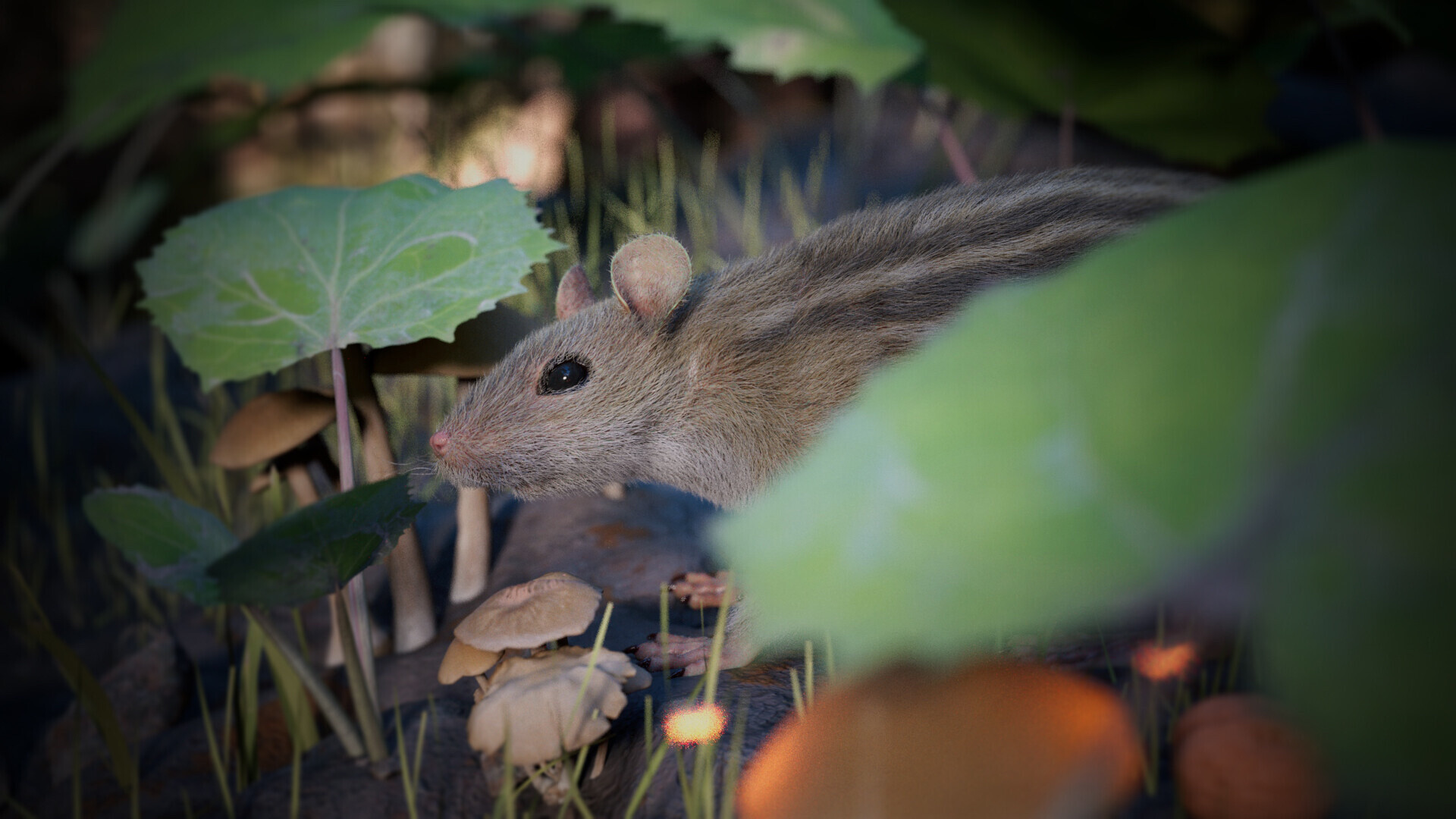 ArtStation - African Striped Mouse