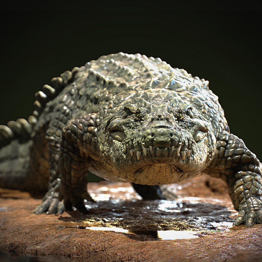 ArtStation - Crocodile