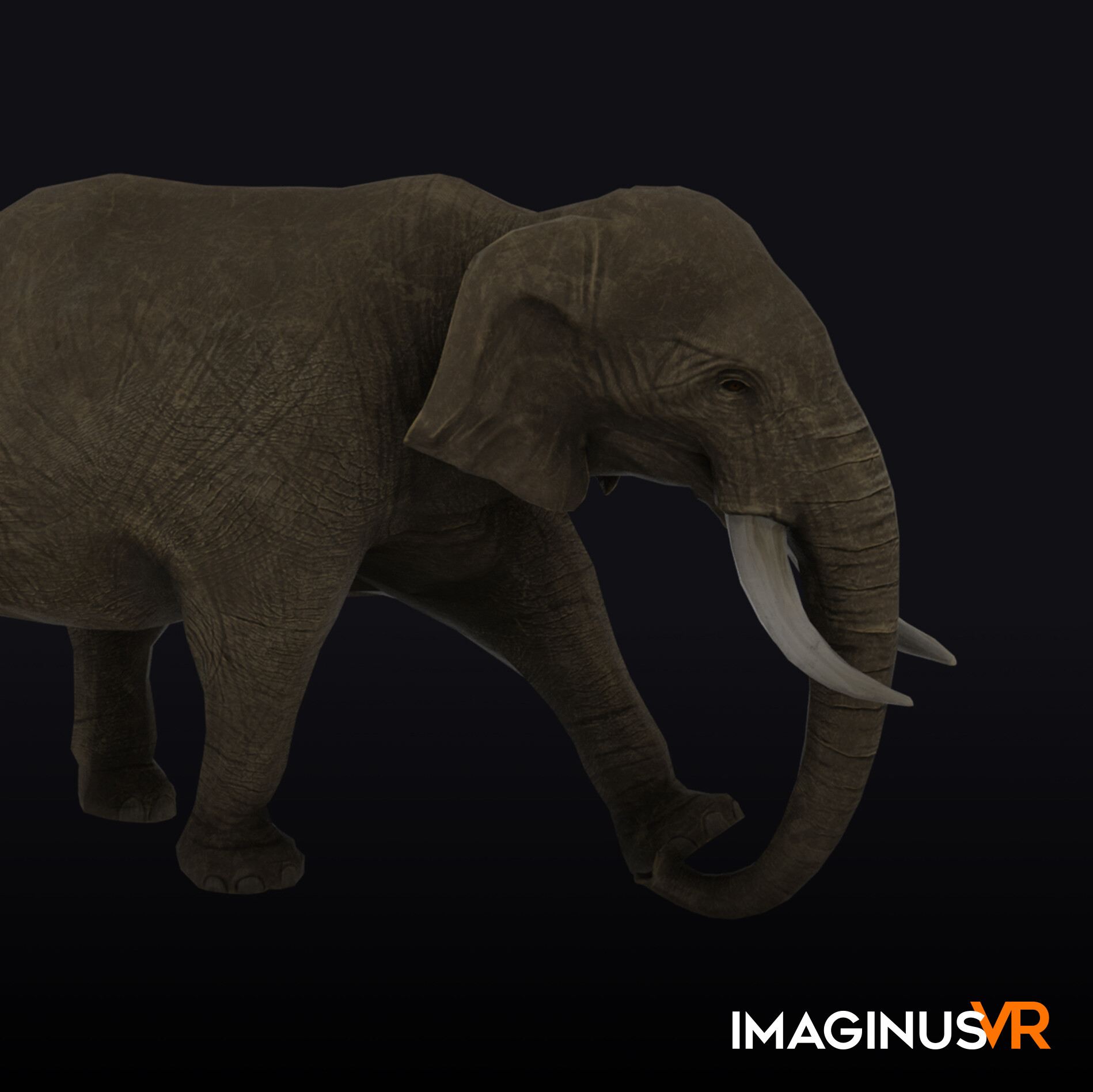 ArtStation - National Geographics: Elephant run animation