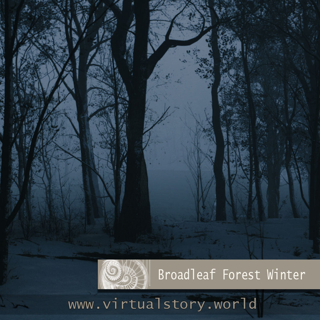 Fiona Bavinton - Virtual Story Worlds: Magical broadleaf forests