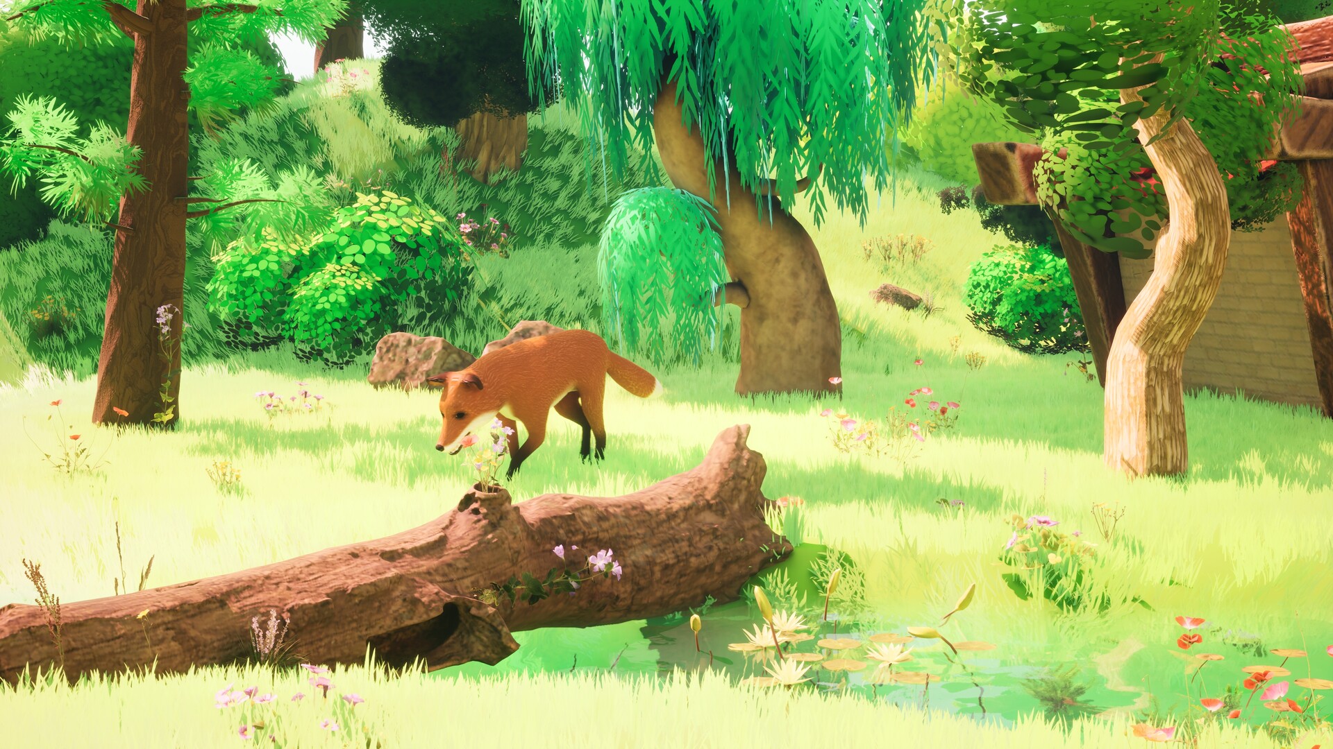 Anna Tribbia - Wildlife Canvas Series - Part 3