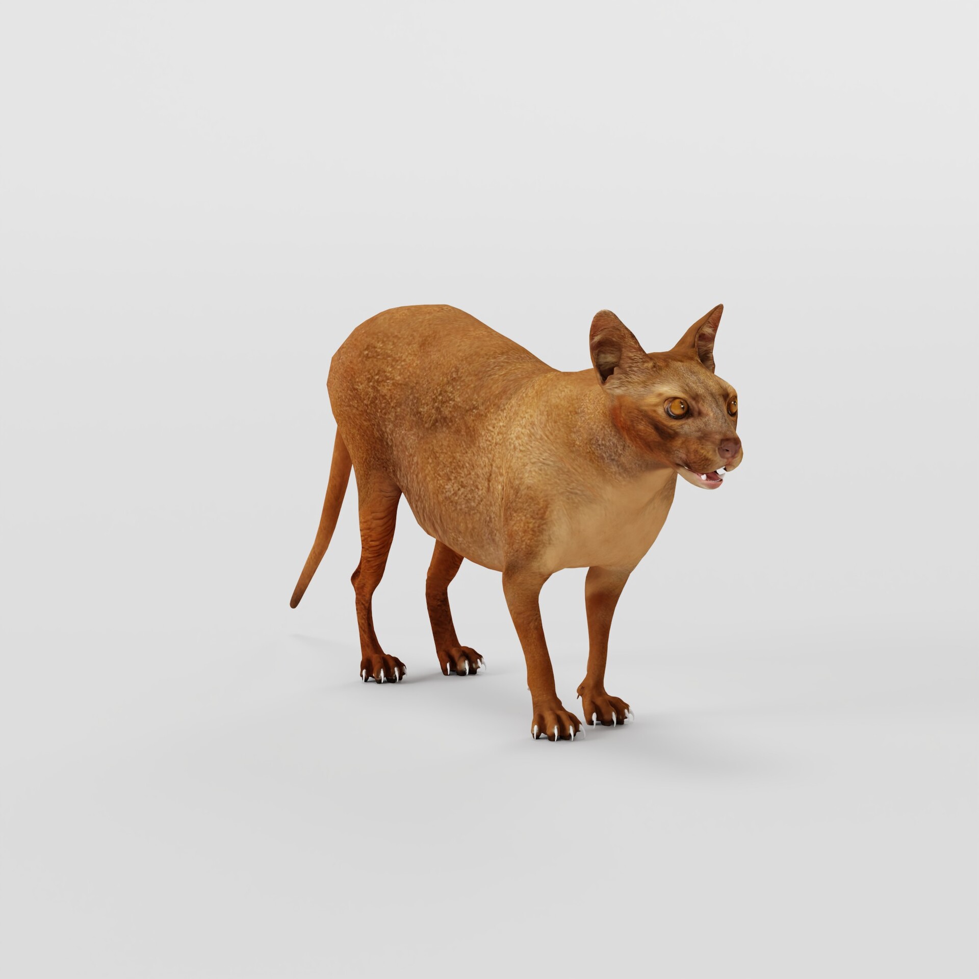 Nyilonelycompany - Cryptoprocta Ferox Fossa Endangered Animal