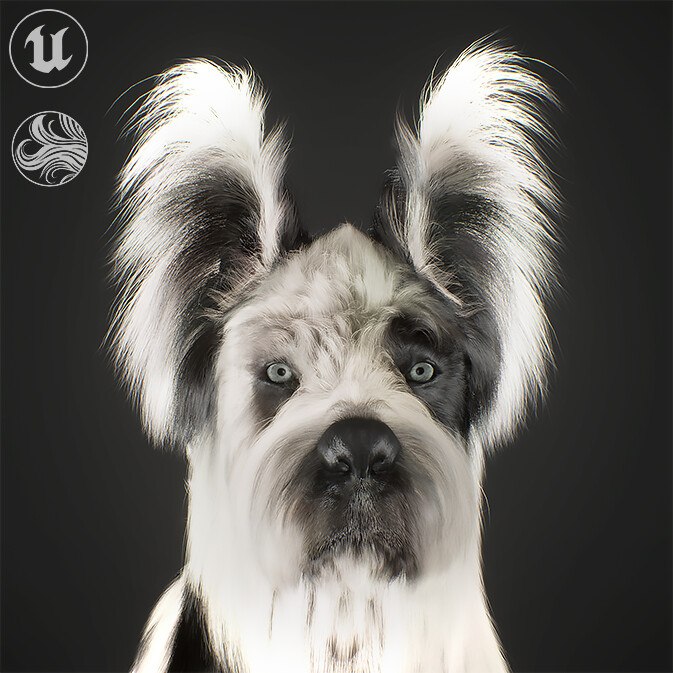 ArtStation - Realistic Dog Grooming