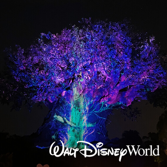 ArtStation - Avatar: The Way of Water Projection Show