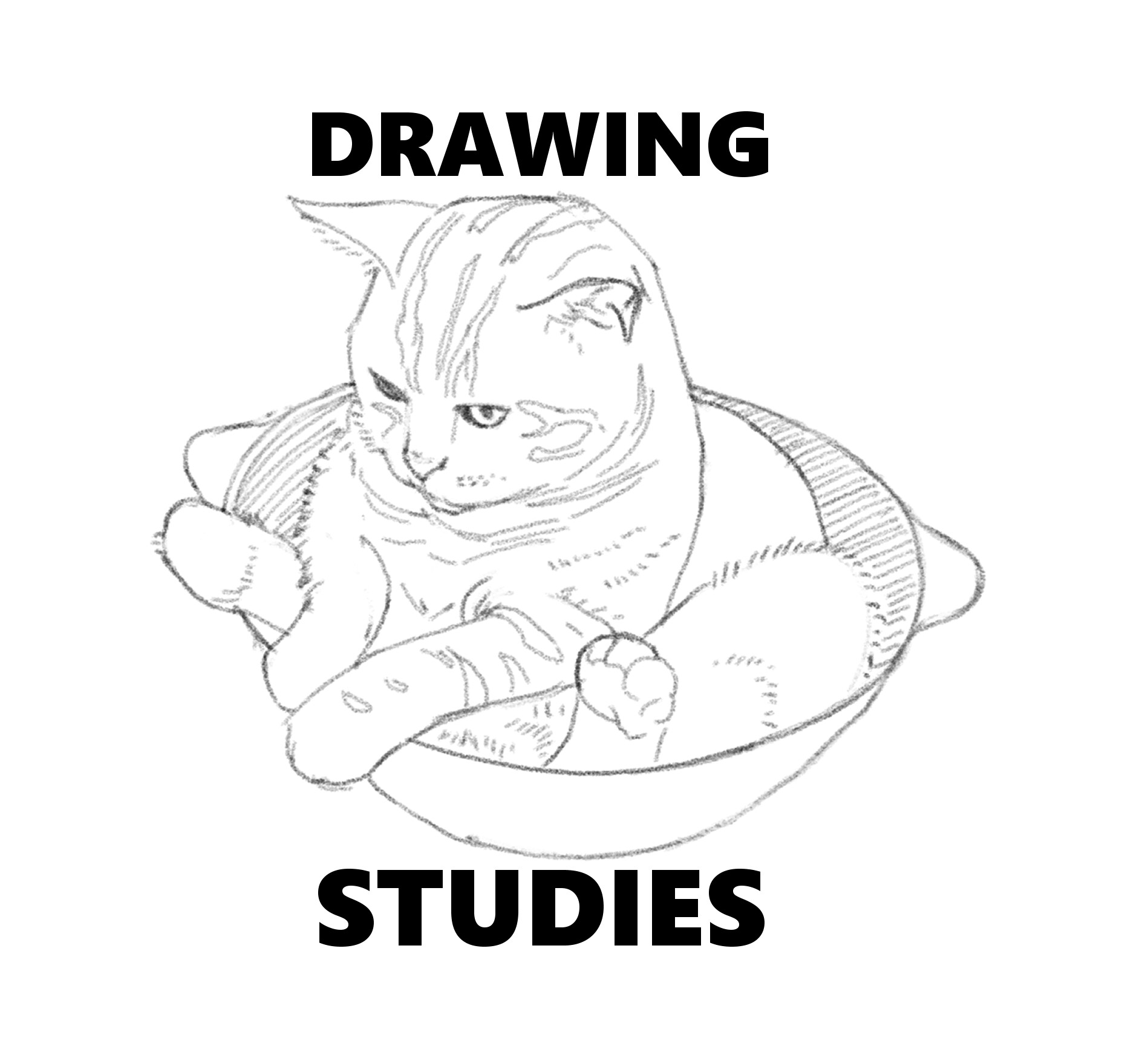 ArtStation - Drawing Studies