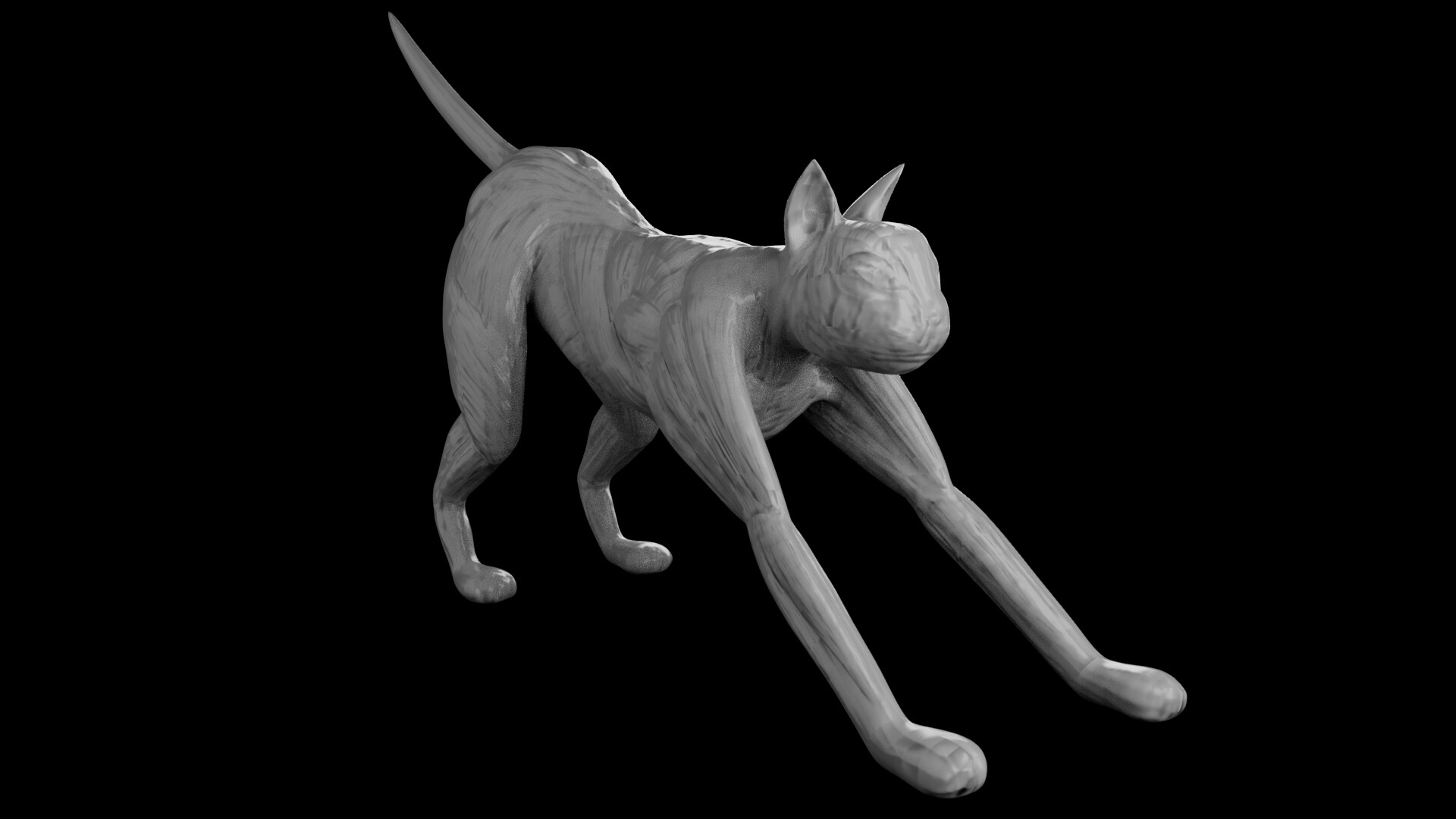 ArtStation - Cat Muscle study