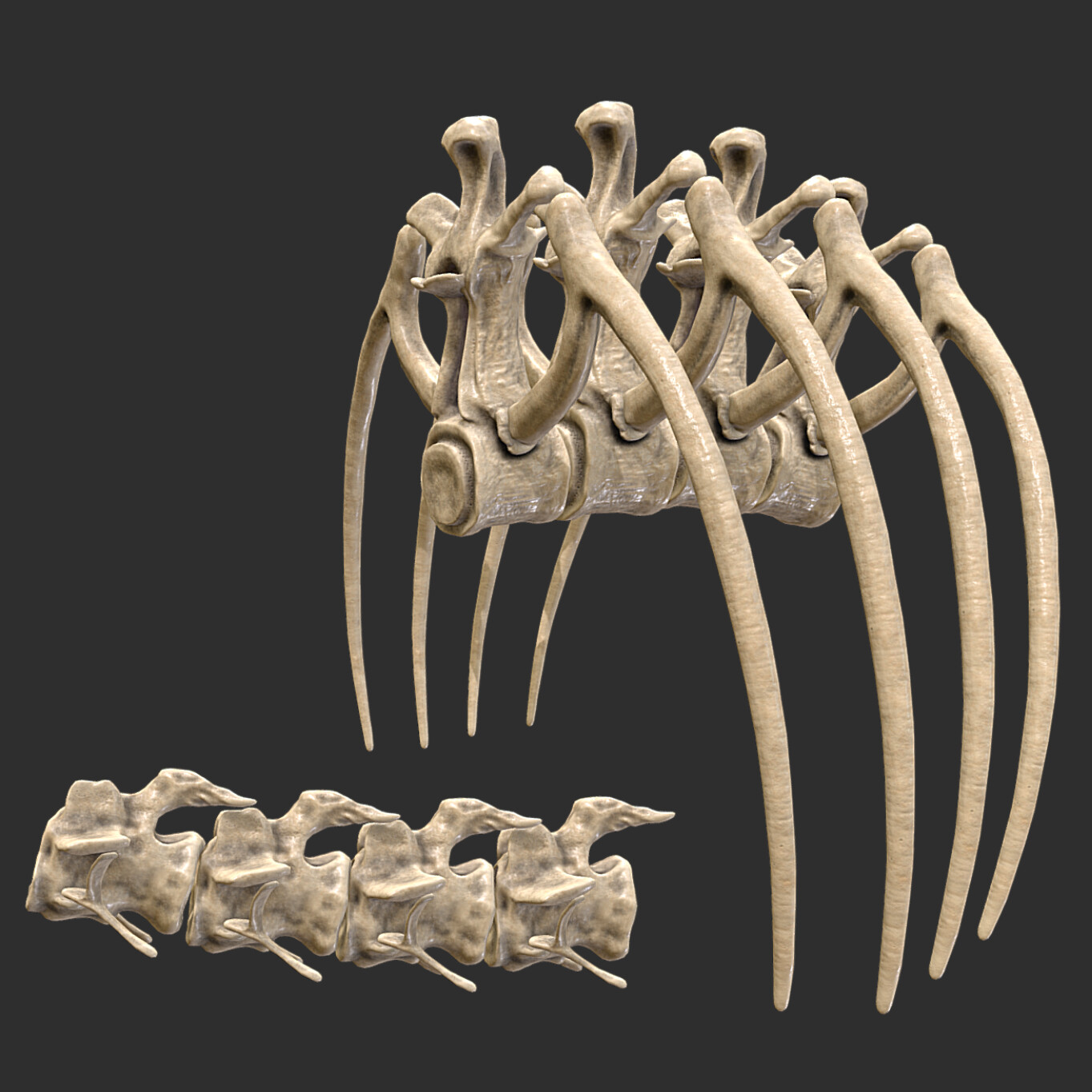 ArtStation - Dinosaur Bones