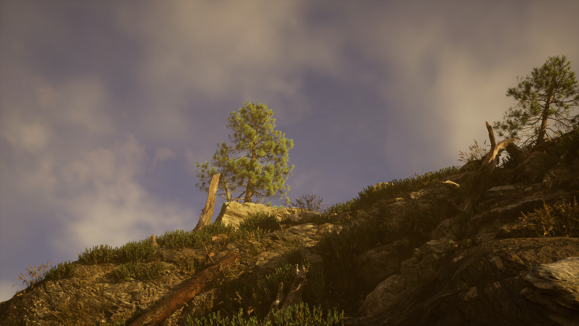 ArtStation - At the Treeline