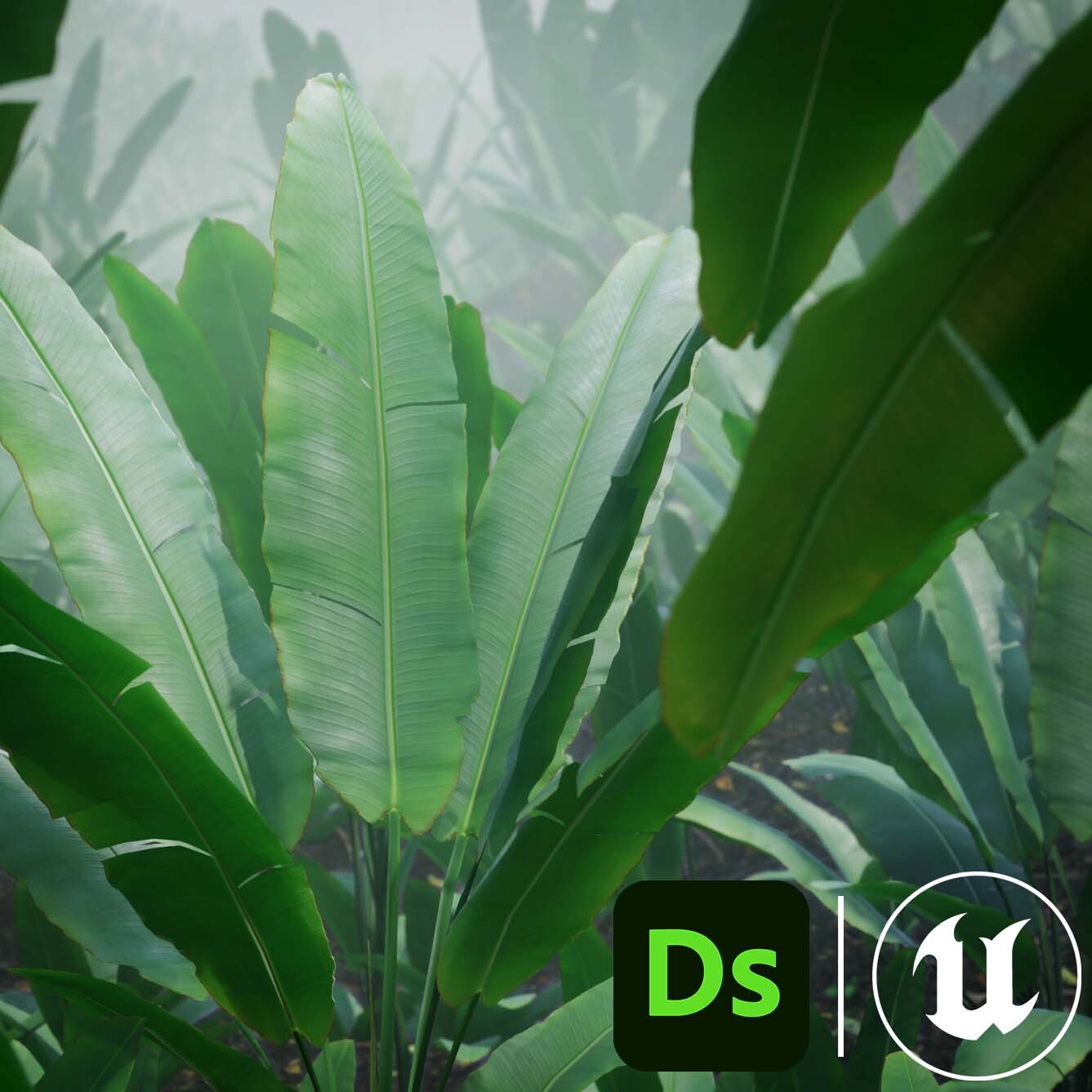 ArtStation - Banana Plant - Foliage study