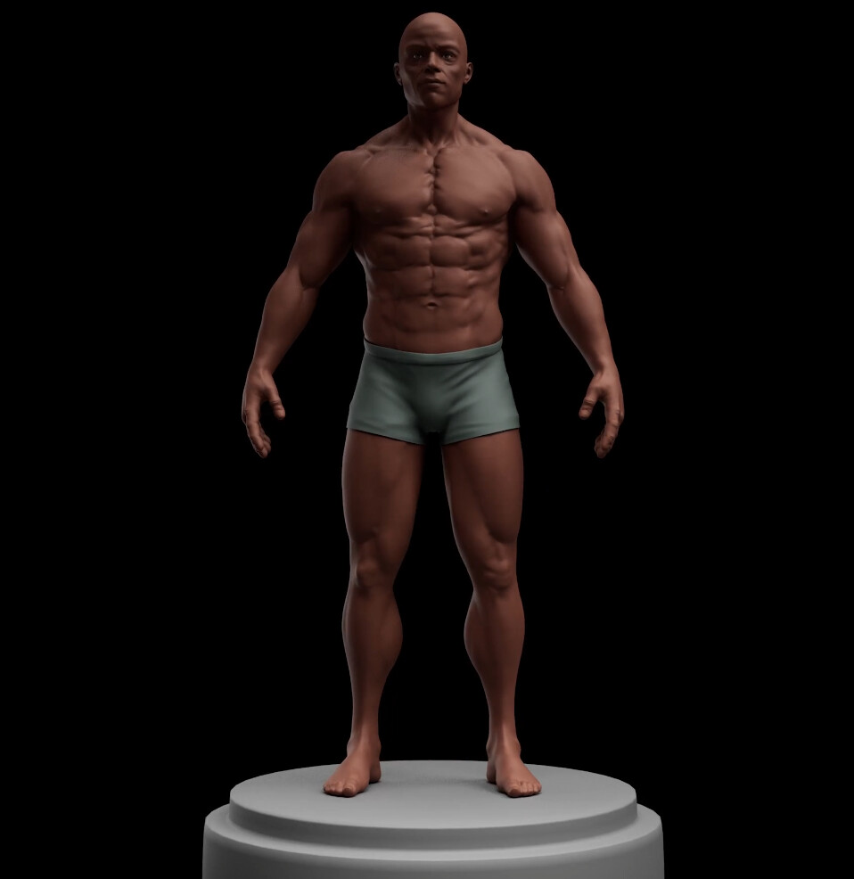 ArtStation - Male Anatomy Study