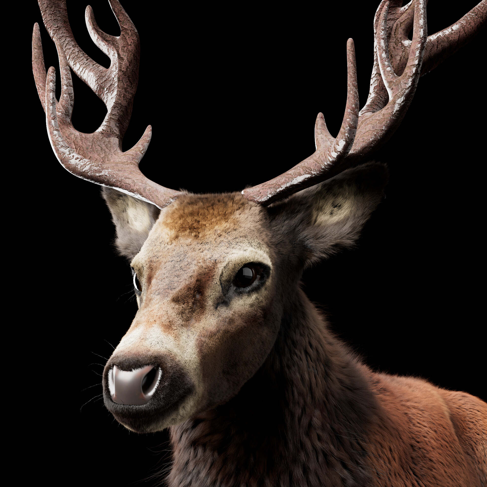 ArtStation - Red Deer Creature FX