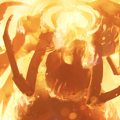 Lee Fitzgerald - Portfolio