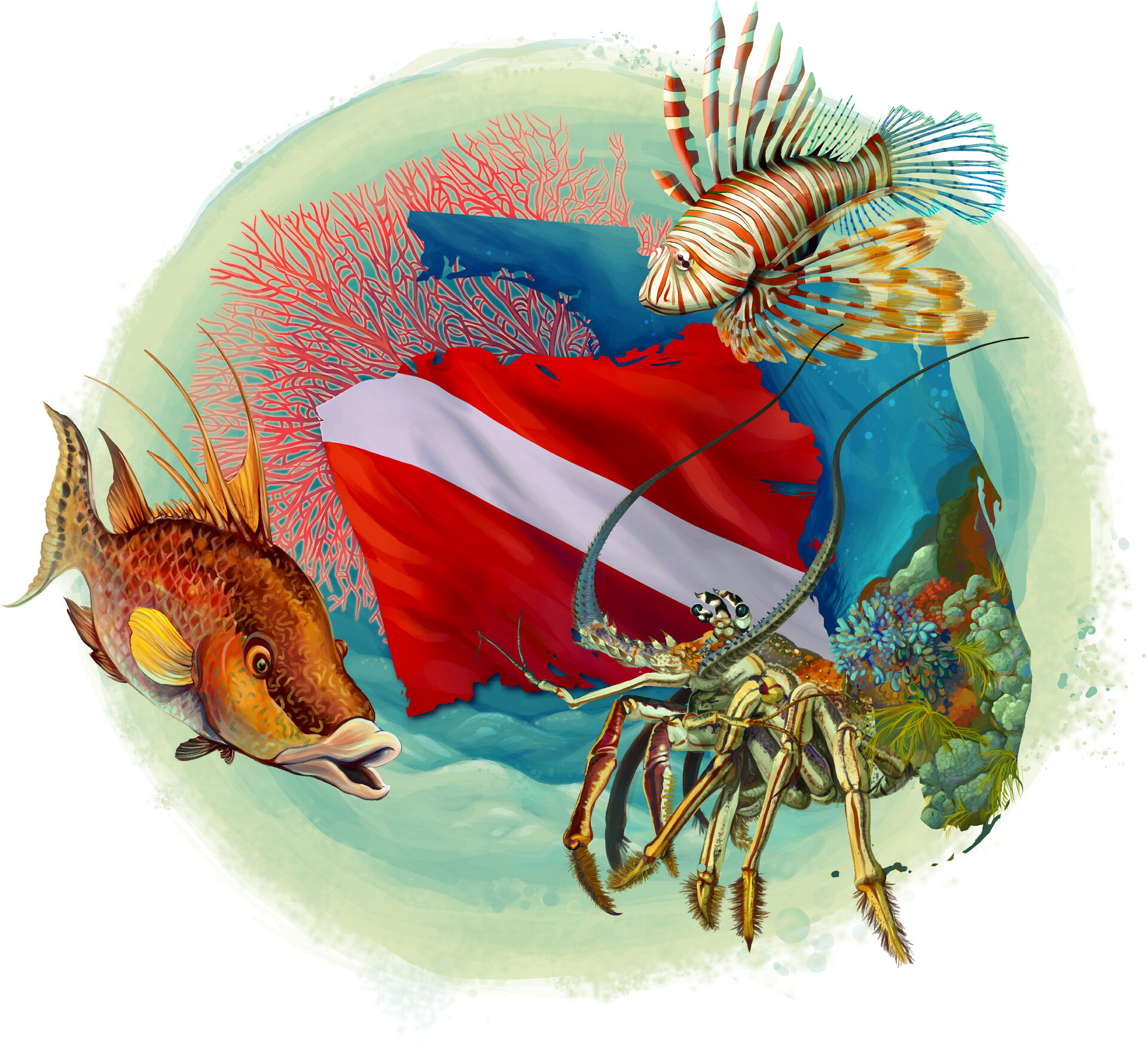 ArtStation - Dive Florida Designs
