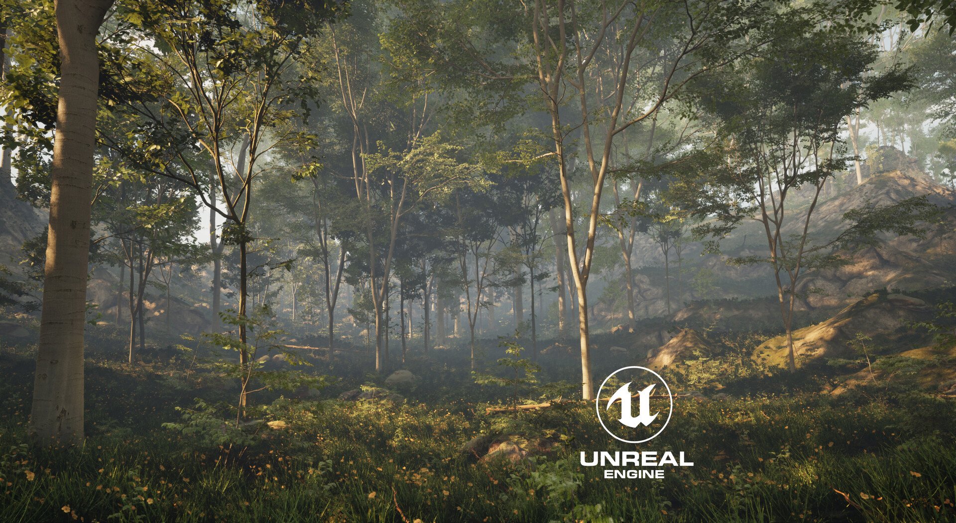 ArtStation - Forest PCG Unreal engine 5.3