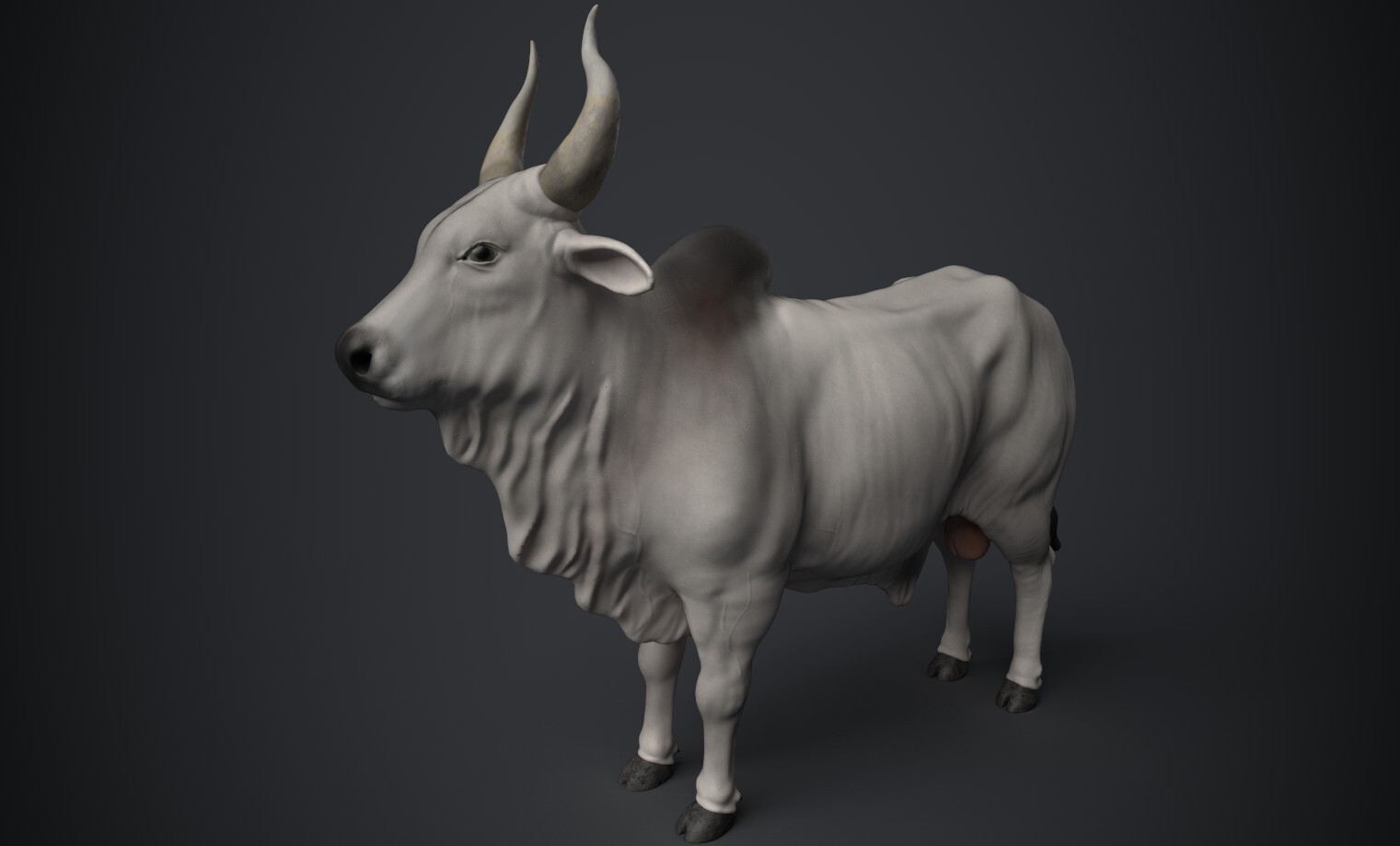 ArtStation - Indian Bull
