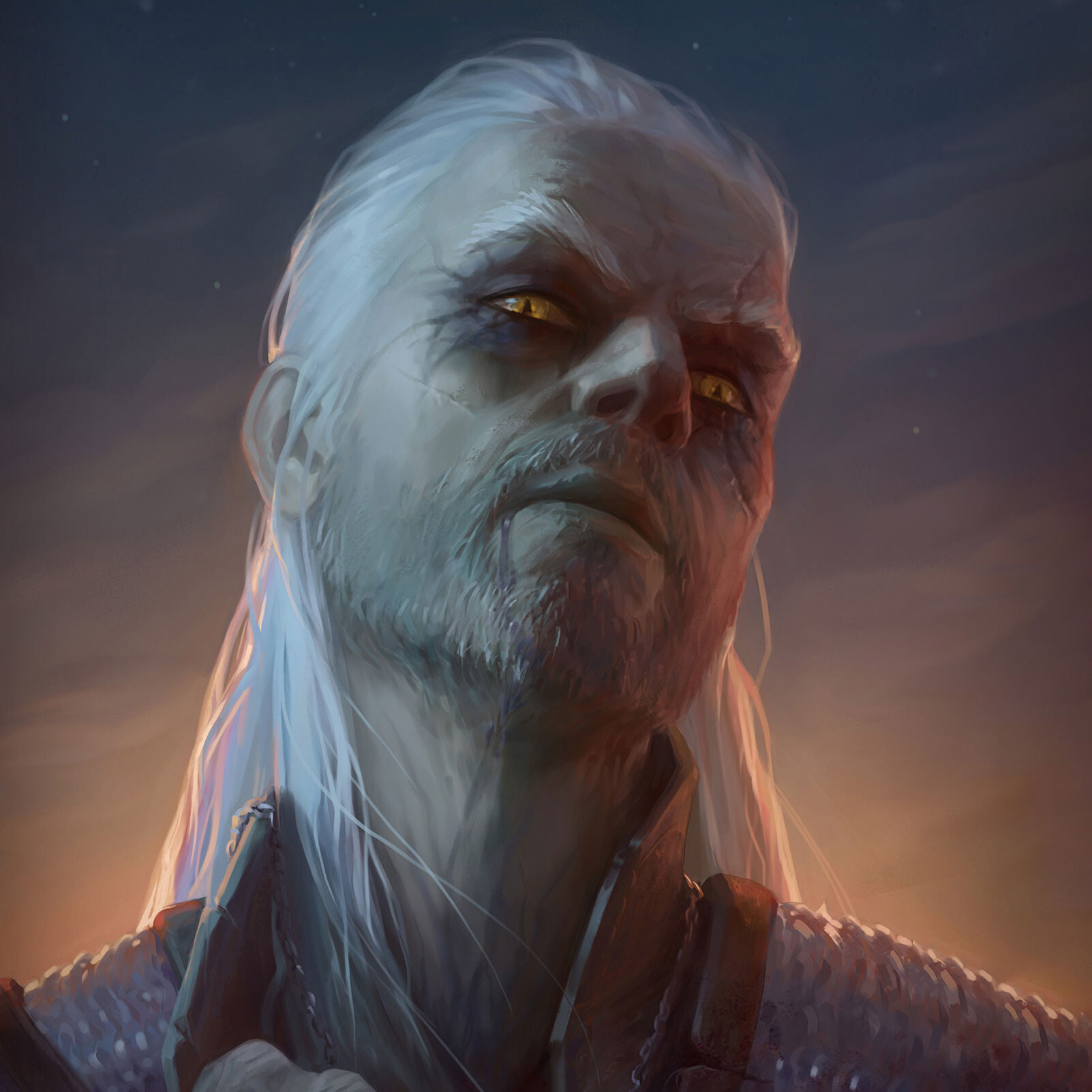 ArtStation - The Witcher: border