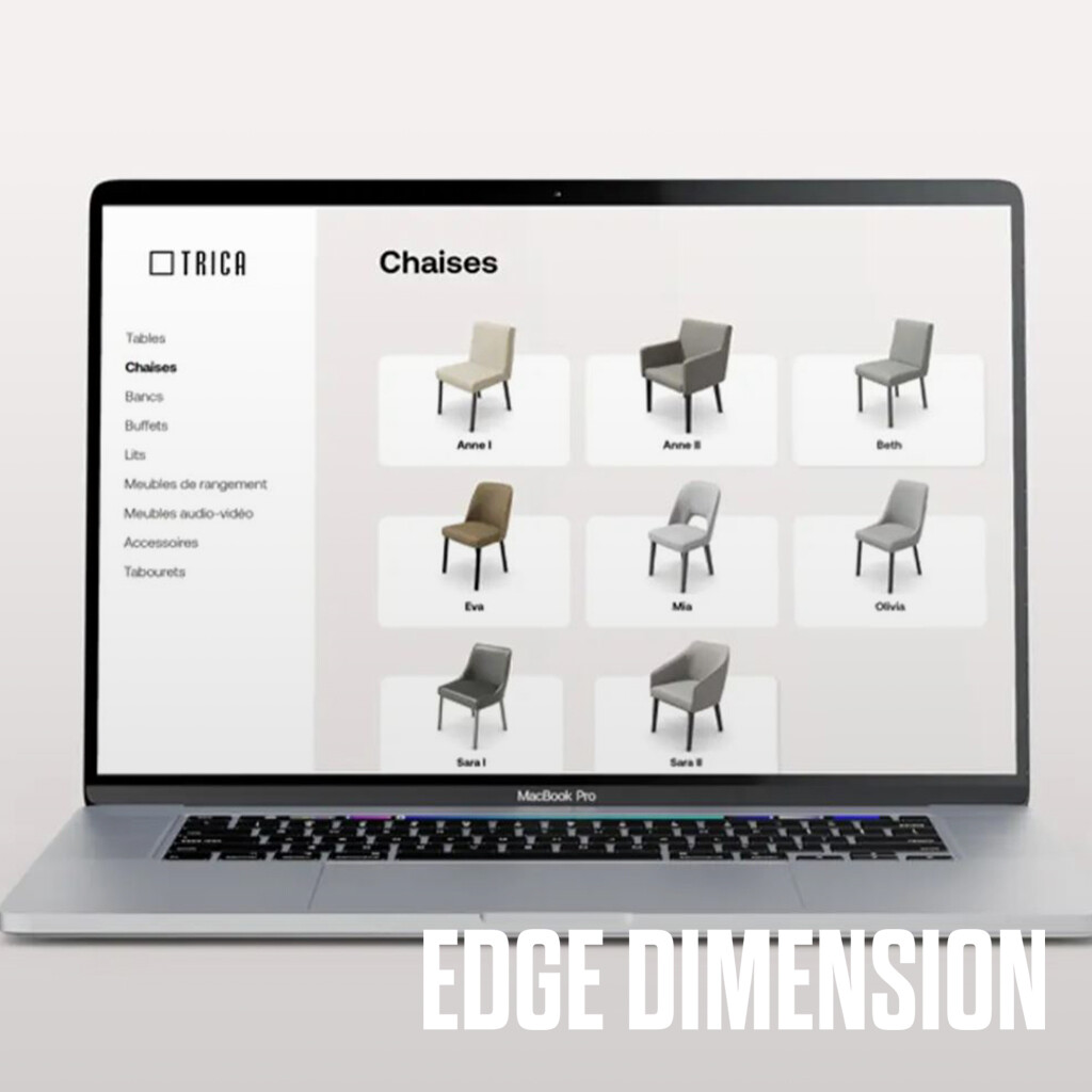 ArtStation - Trica - Application