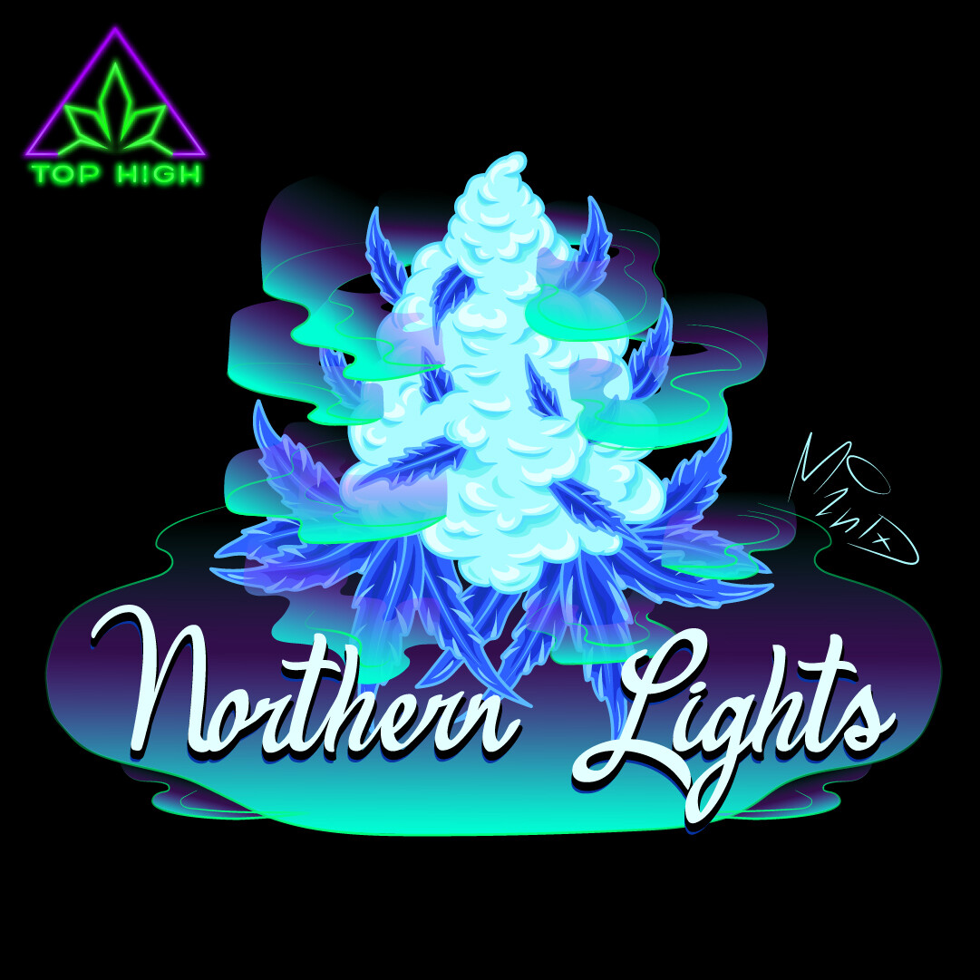 ArtStation - Northern Lights CBD design