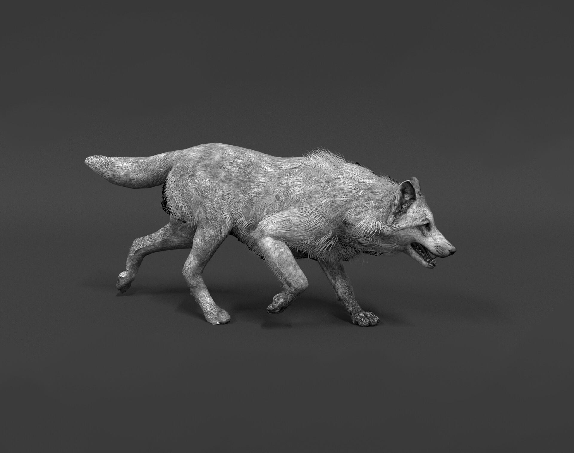 ArtStation - Wolf Trot
