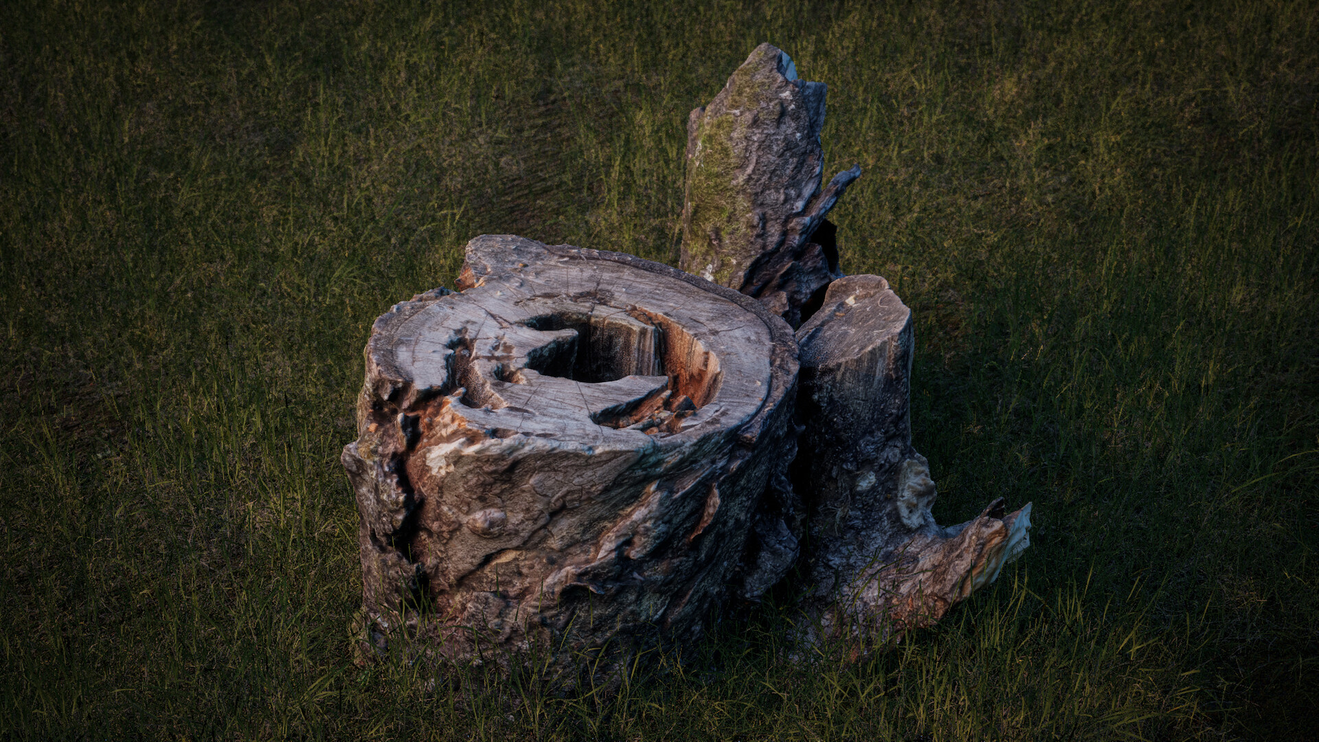 ArtStation - Tree stump