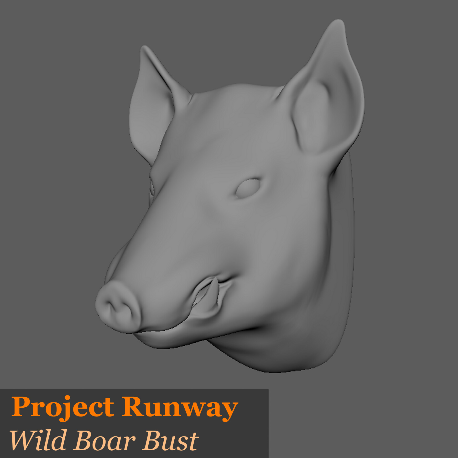 ArtStation - Wild Boar Bust (11/14/23)