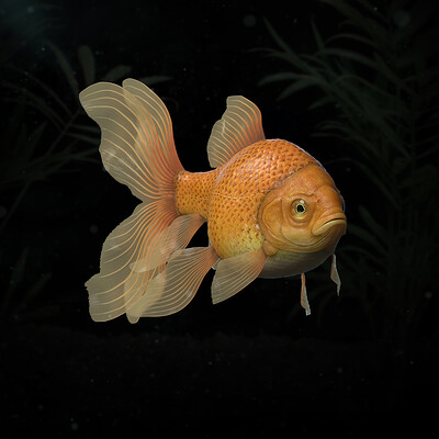 COLIN SHULVER - Alien Covenant - Early Neomorph Concepts