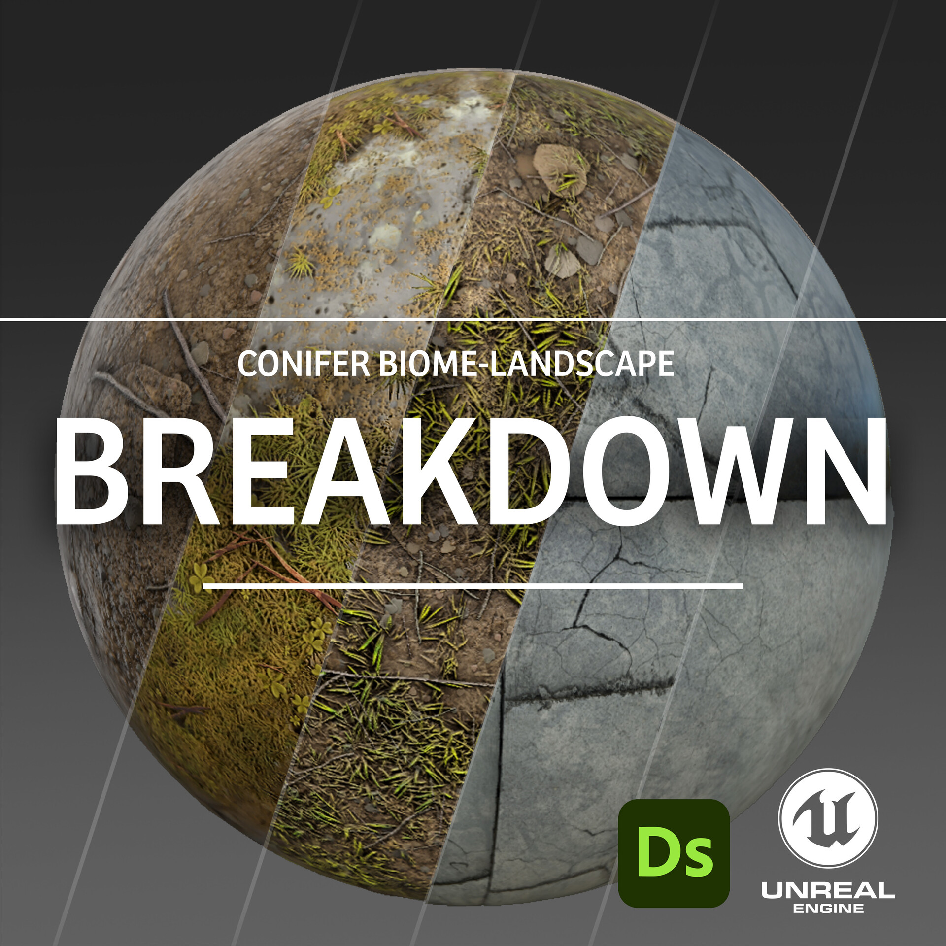ArtStation - Conifer Biome: Landscape Material Breakdown(SD to Unreal 5)