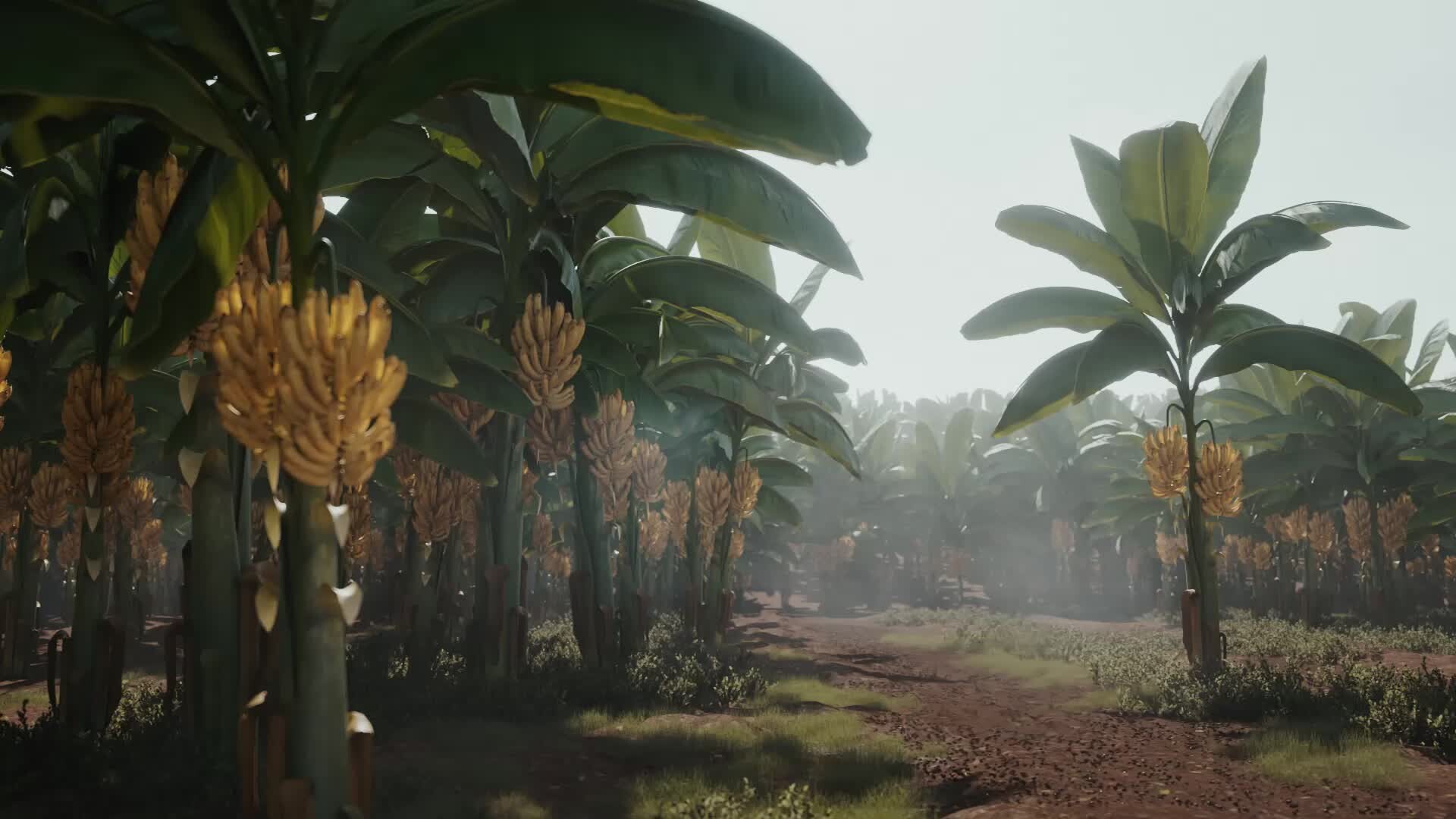 ArtStation - Speedtree Tutorial - How to Create a Banana Tree