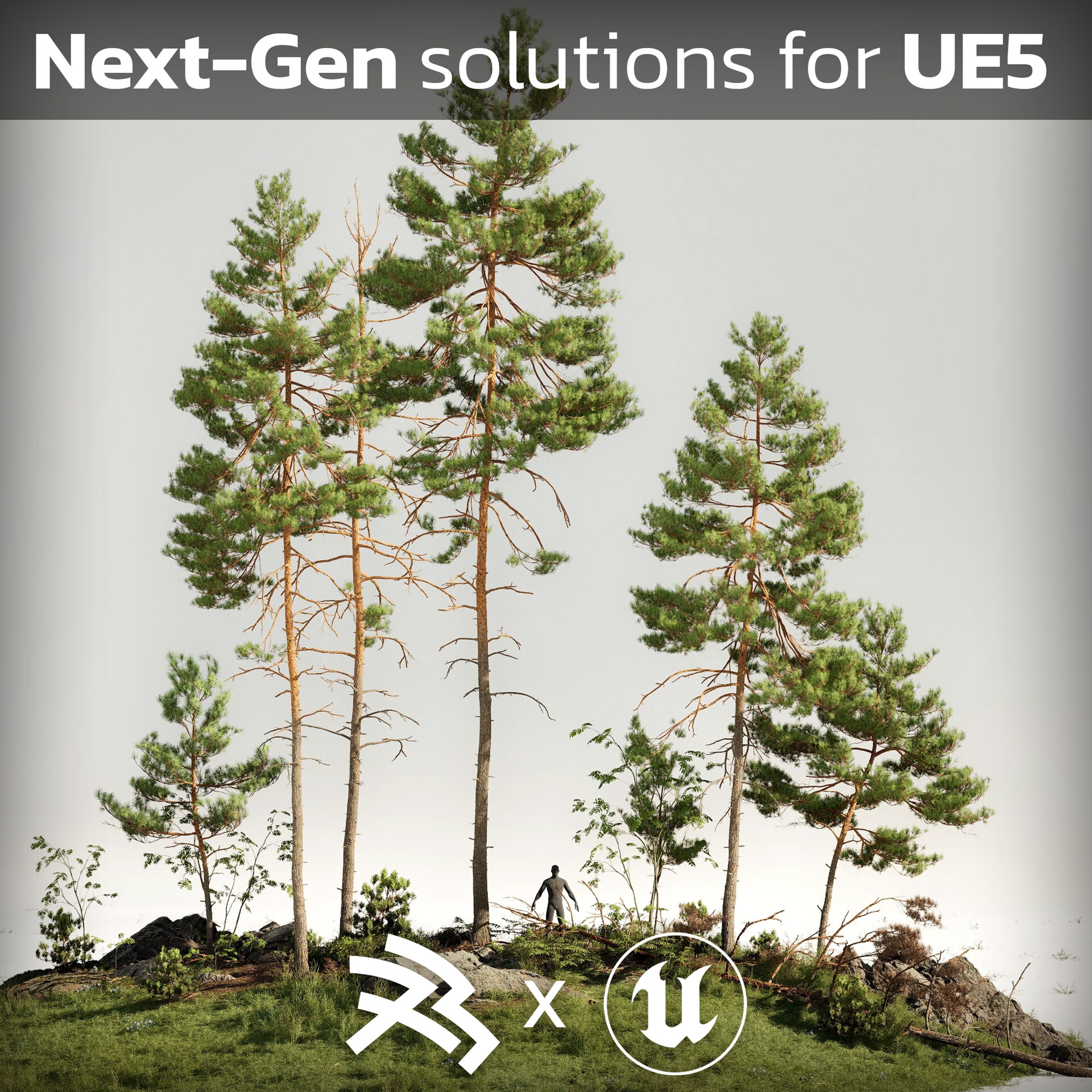 ArtStation - Realistic Scots Pine forest vignette in UE5 | RealBiomes Next-Gen 2.0