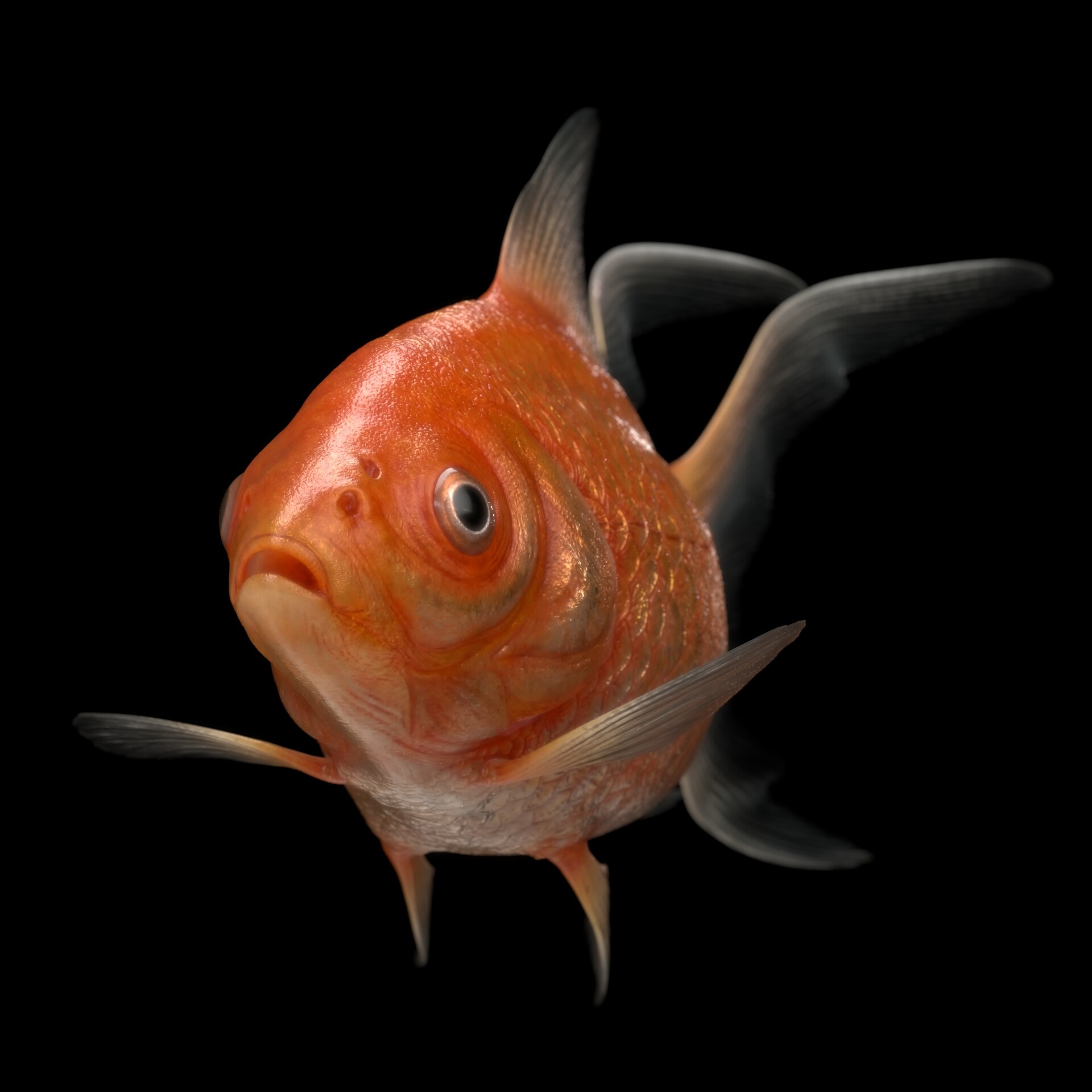 ArtStation - Rigged Goldfish
