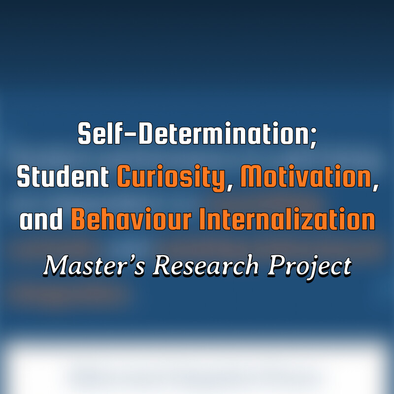 ArtStation - Curiosity and Behaviour Internalization - Poster summary of my Master's research ...