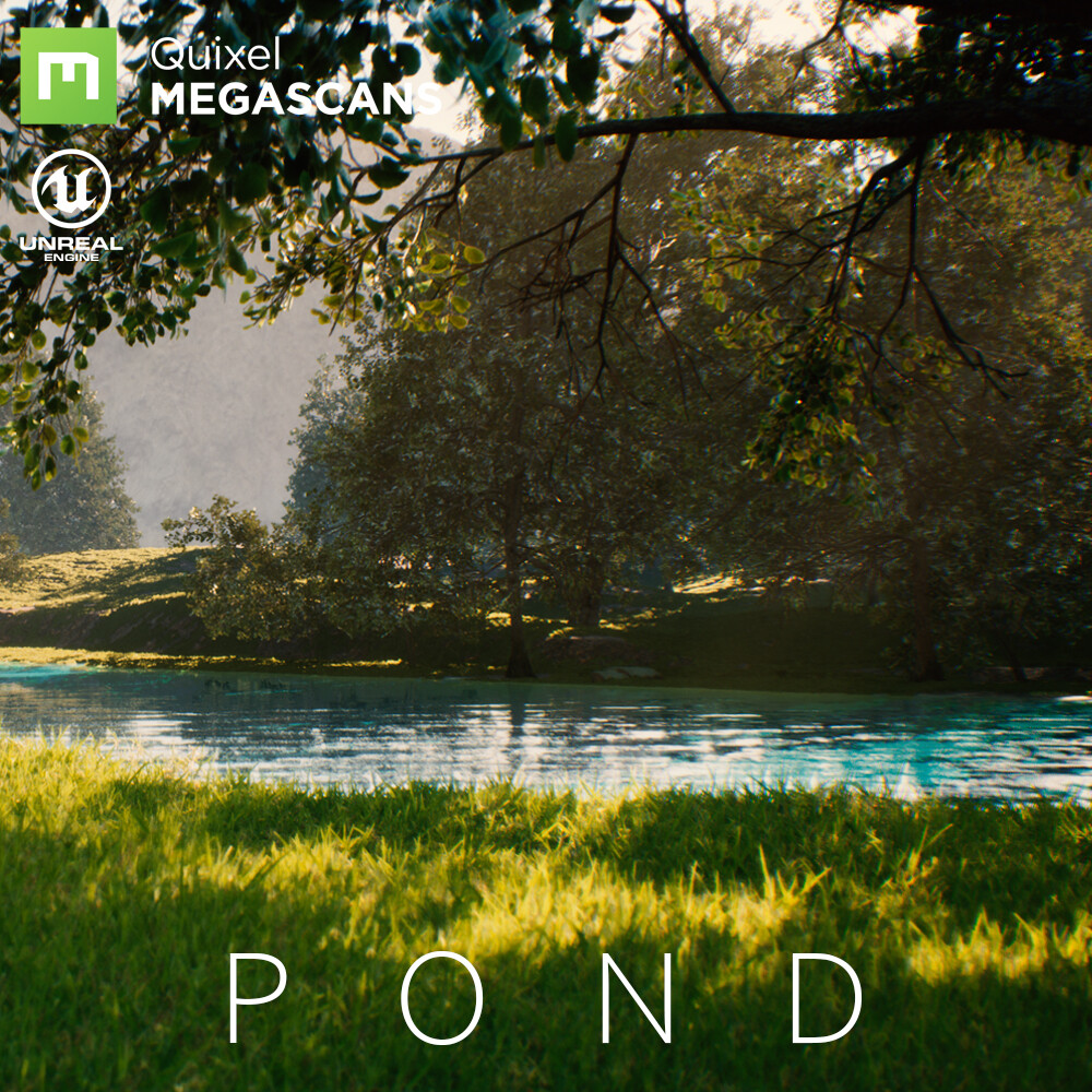 ArtStation - pond unreal cinematic environment