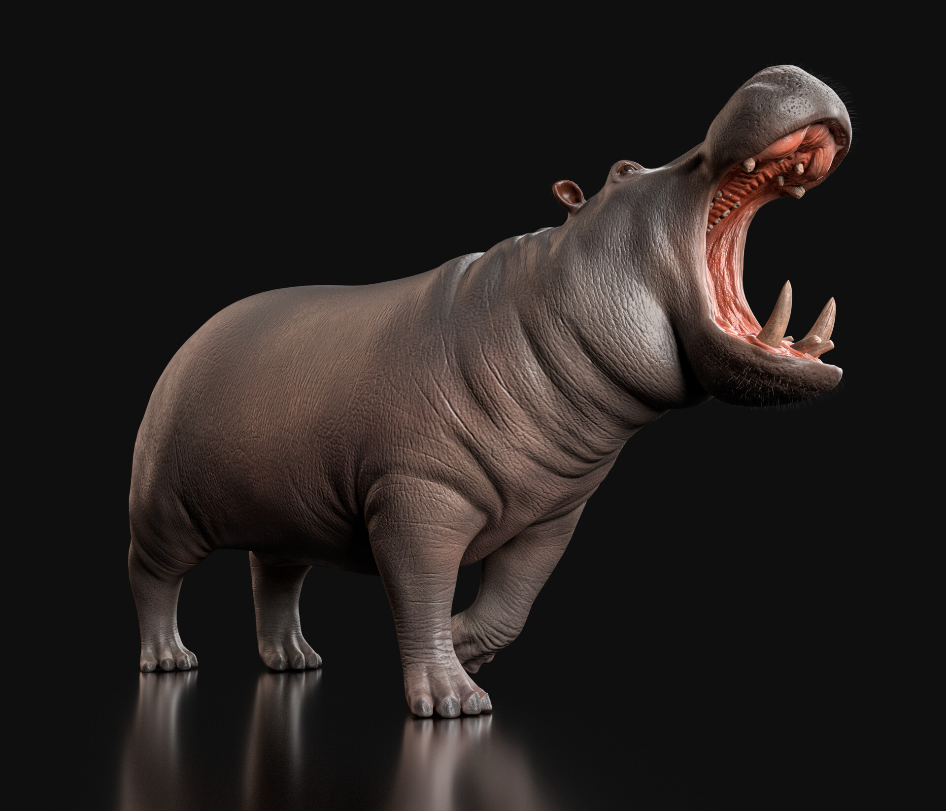 ArtStation - Hippo