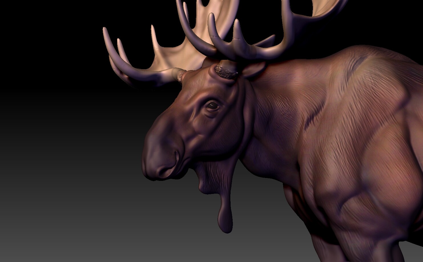 ArtStation - Moose - Ungulate Anatomical Study