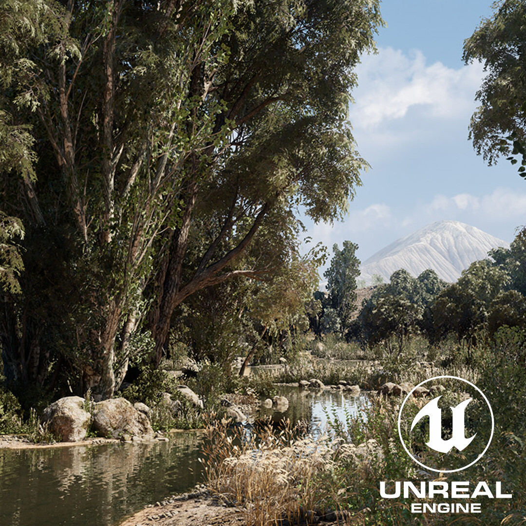 ArtStation - Unreal Engine 5 - Steppe Environment