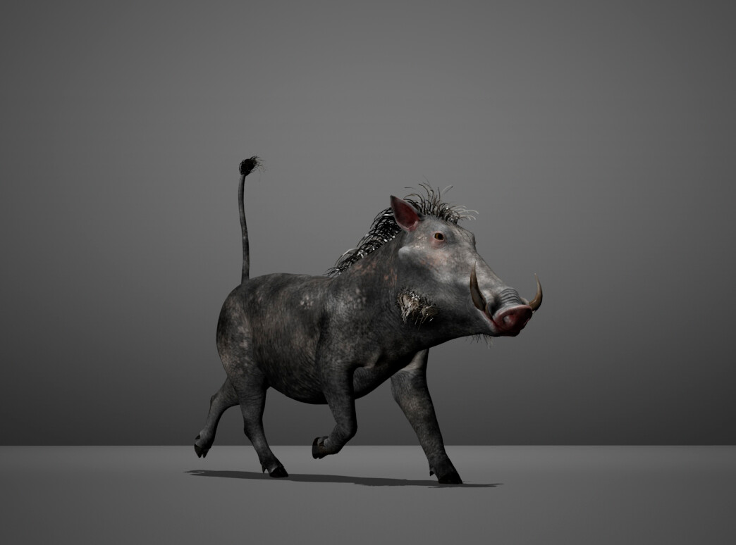 ArtStation - Warthog trot cycle