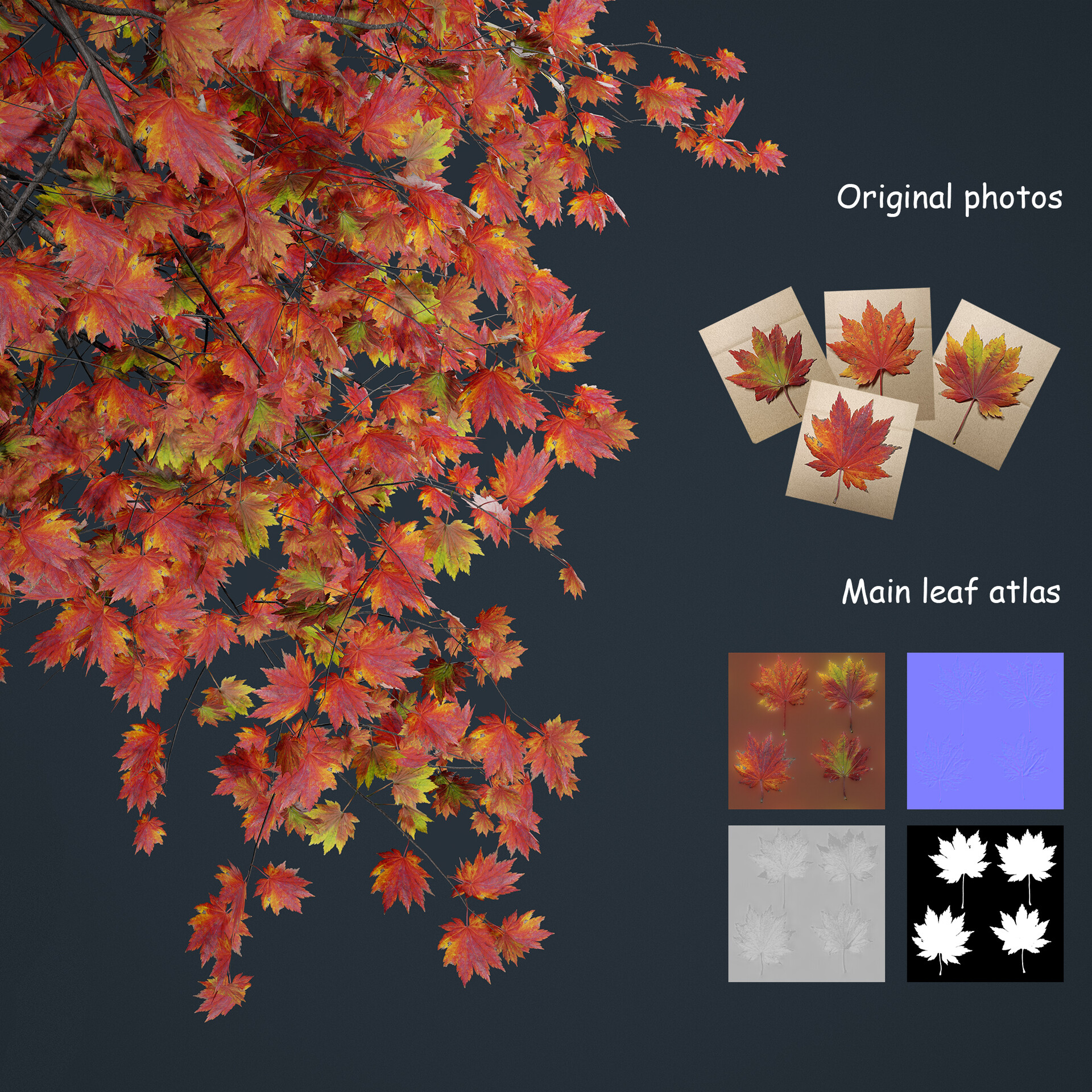 ArtStation - realistic Amur linden and false siebold maple