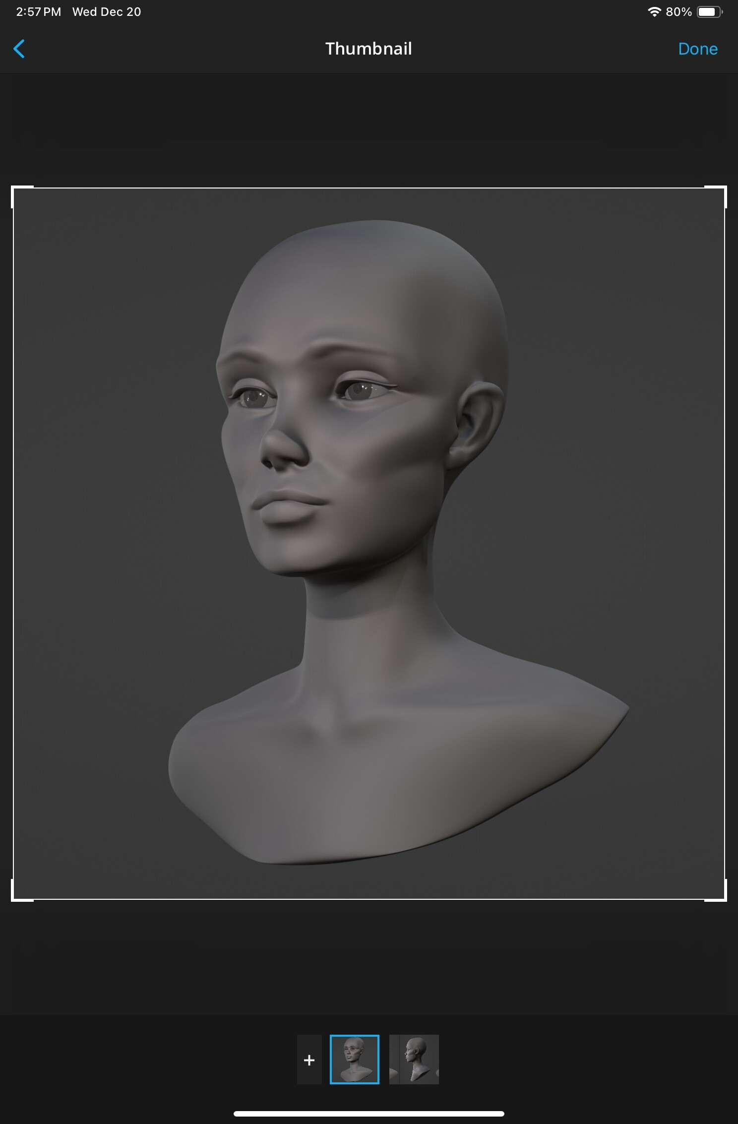 ArtStation - Practice Bust
