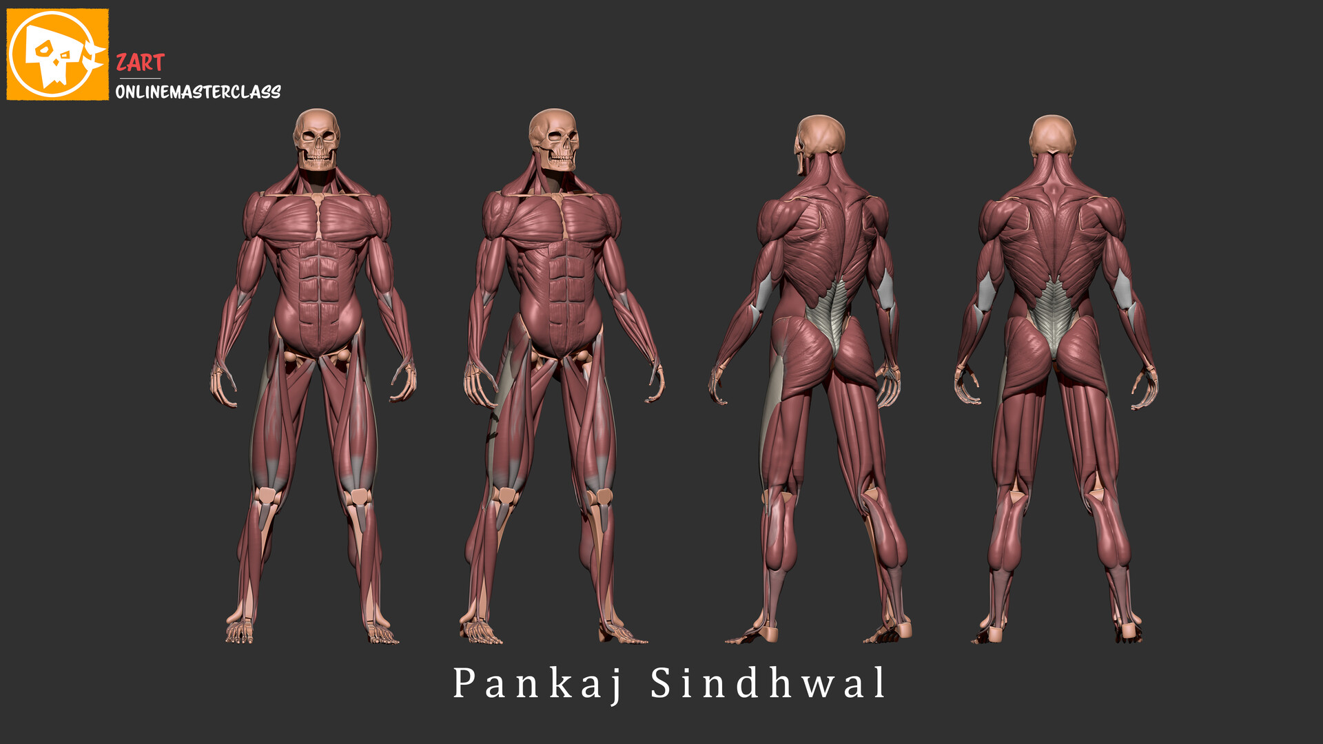 ArtStation - Anatomy study