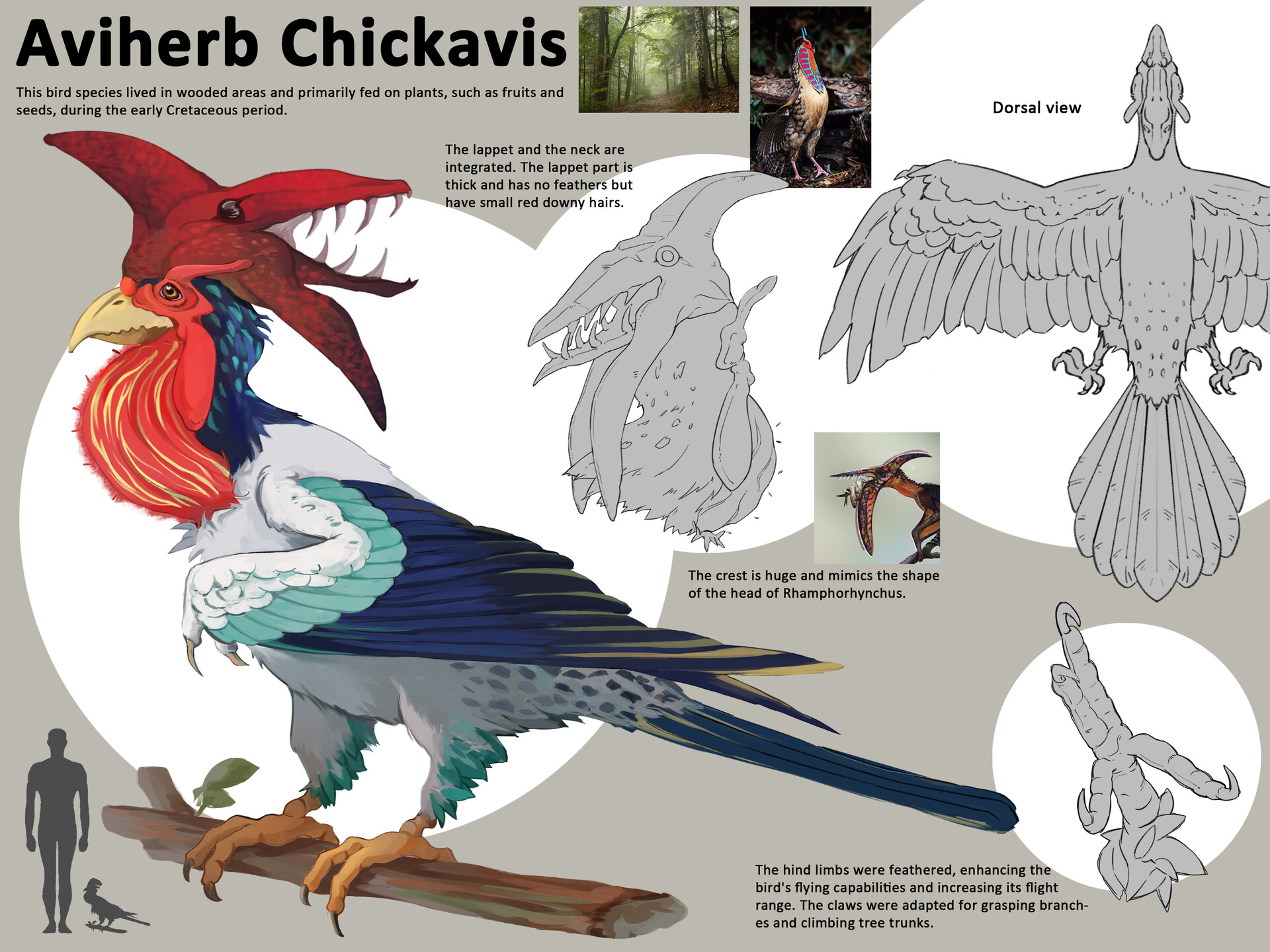 ArtStation - Creature Design