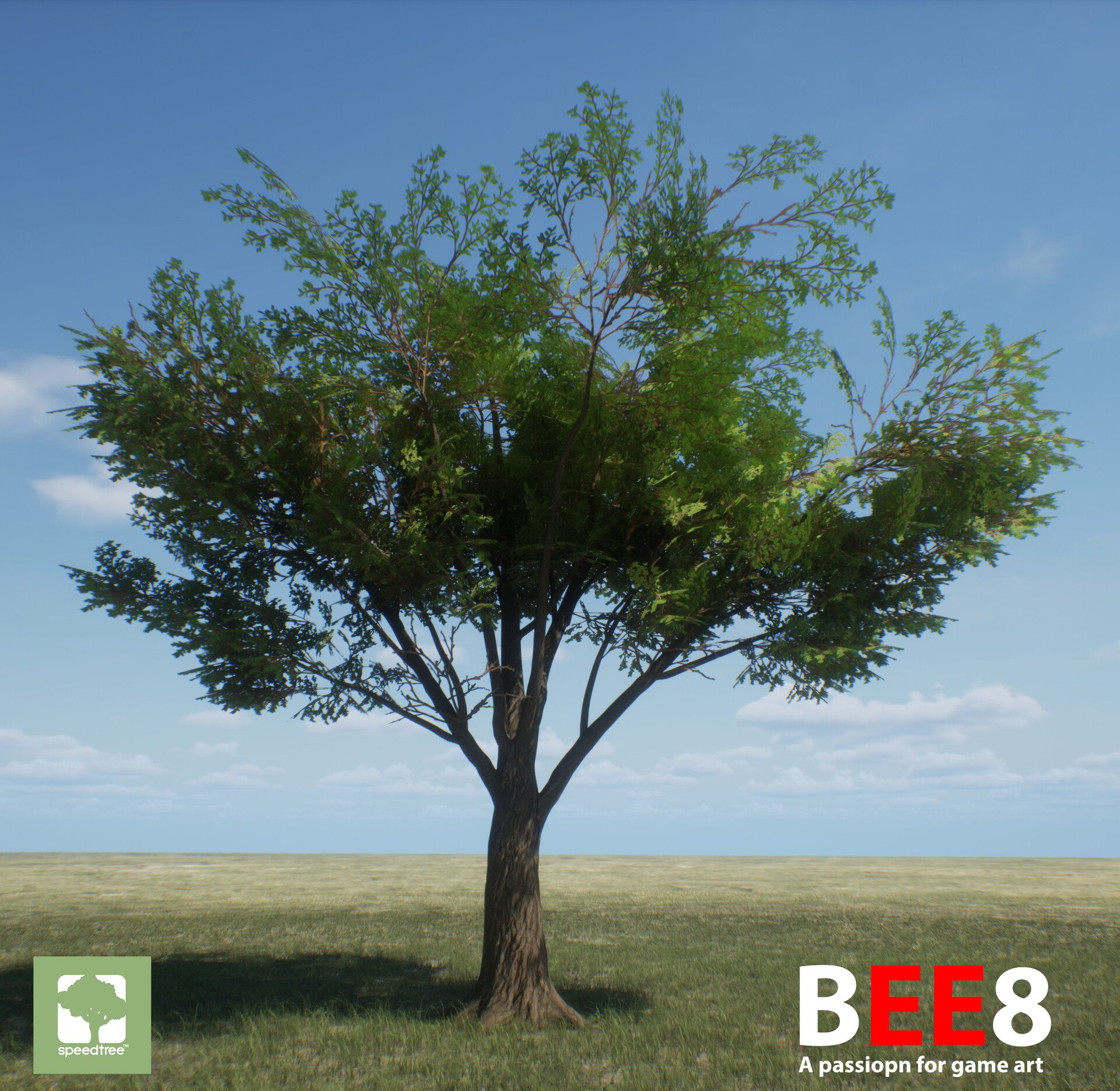 ArtStation - SpeedTree | 3D Vegetation Modeling