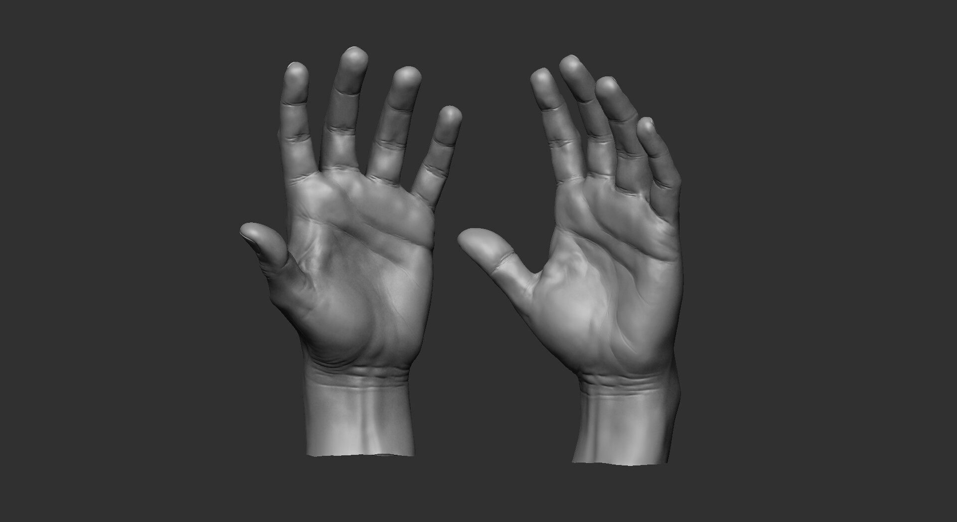 ArtStation - Human Hand Sculpt - Anatomy Study (WIP)