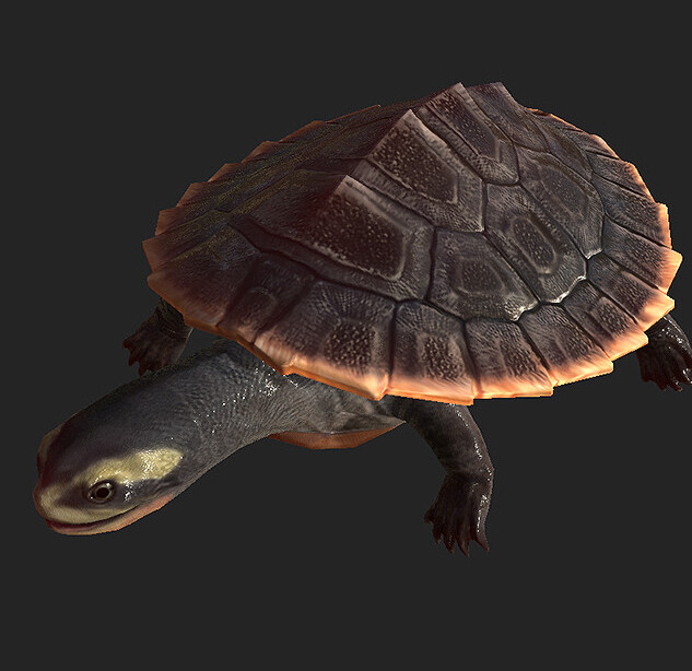 ArtStation - turtle