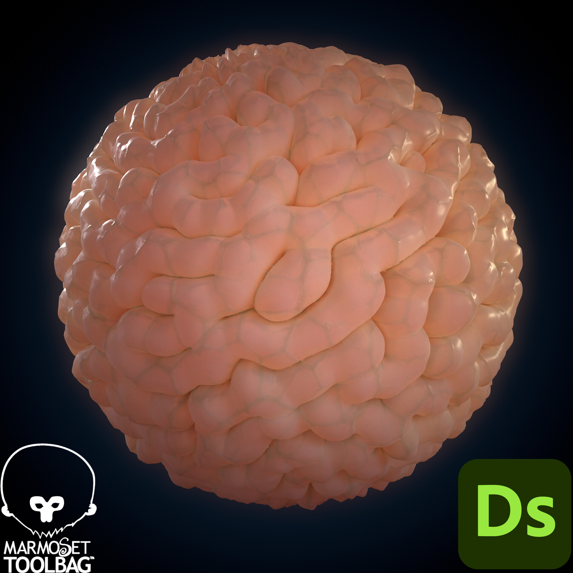ArtStation - Brain (SSS practice)