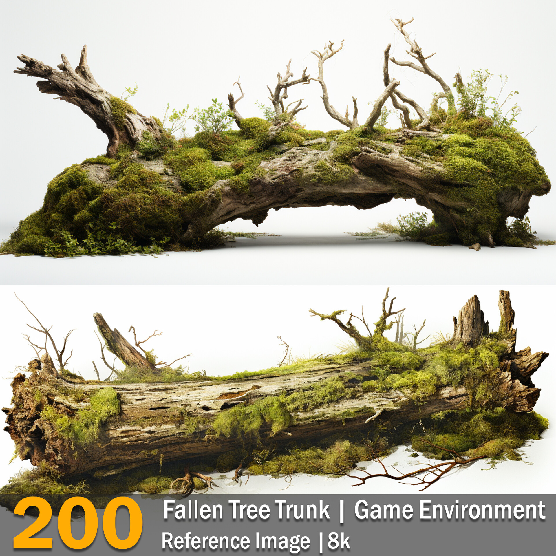 ArtStation - Fallen Tree Trunk | Game Environment | Reference Images | 8K